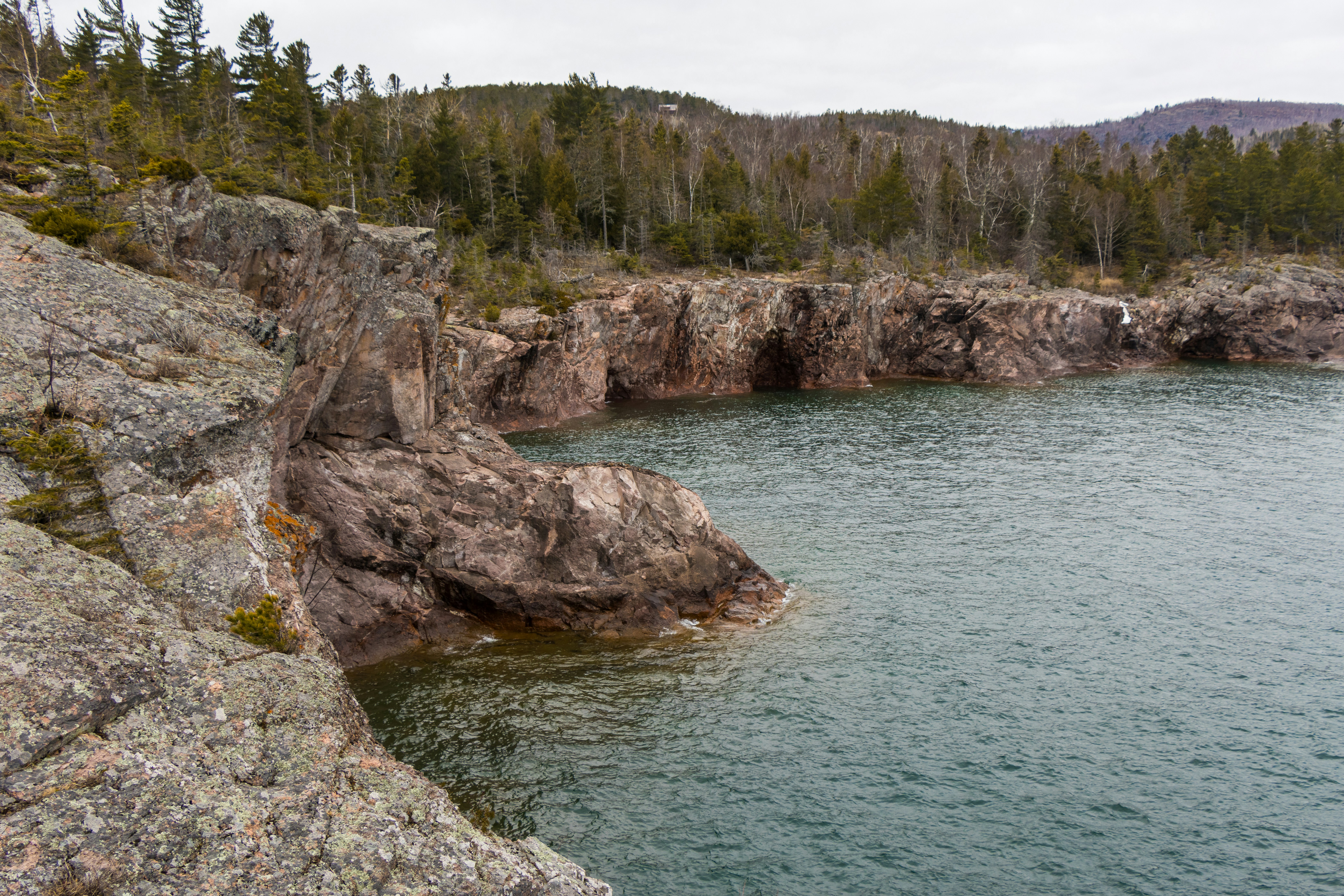 Rocky coastline with evergreen trees and blue water.