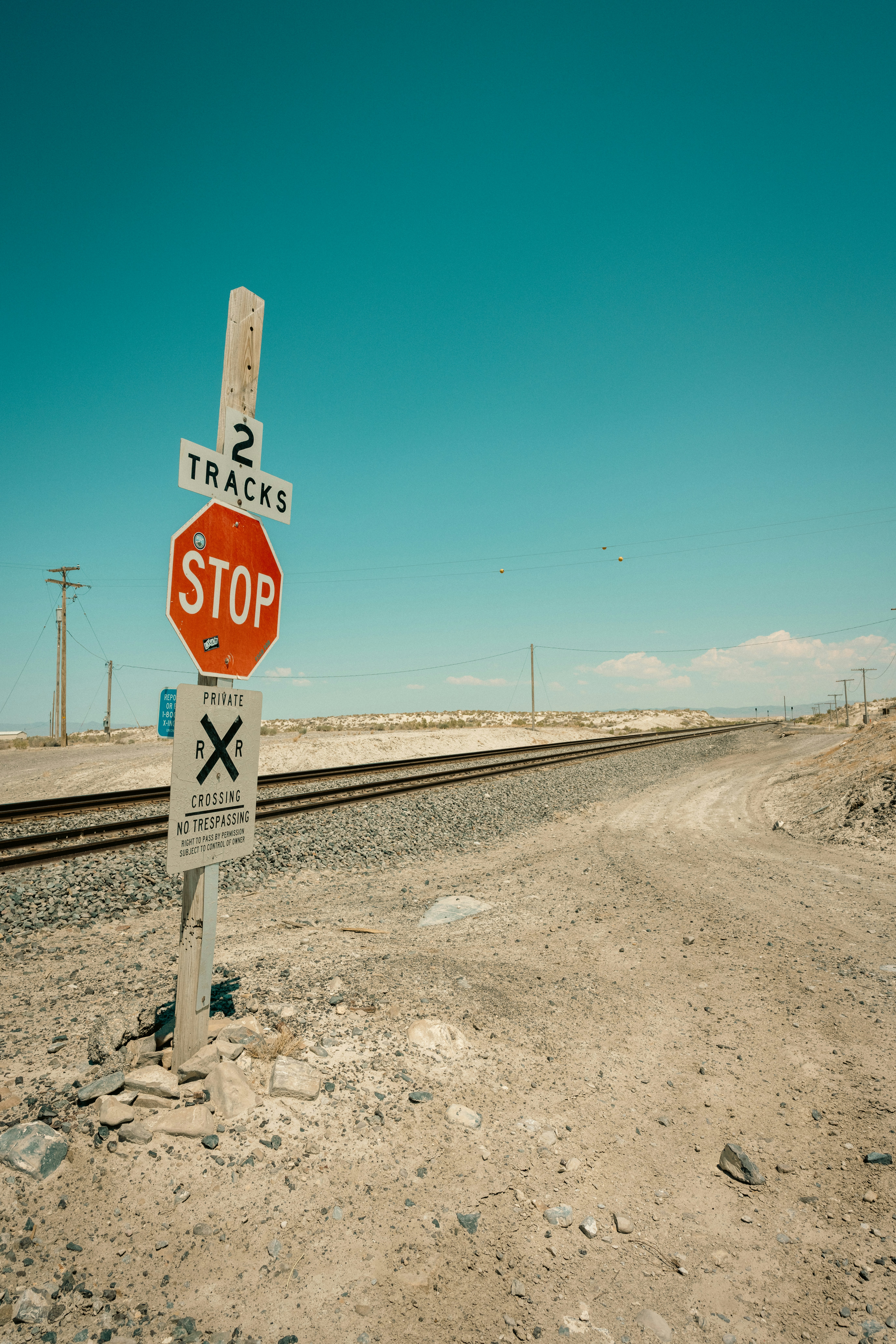 Caution at the Crossroads: A Stop Sign's Silent Vigil
