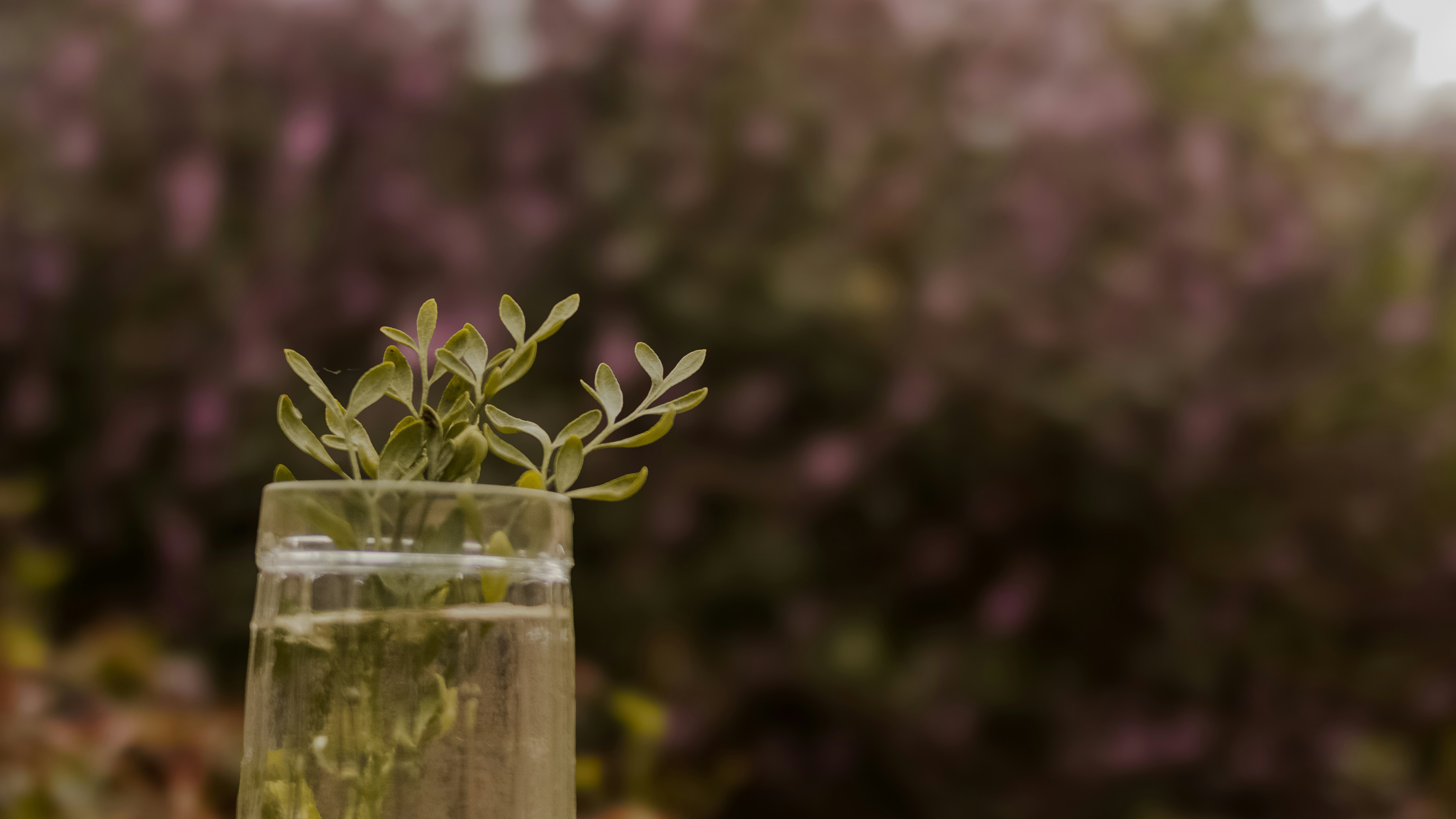 Photo by Halanna Halila with Canon EOS 700D