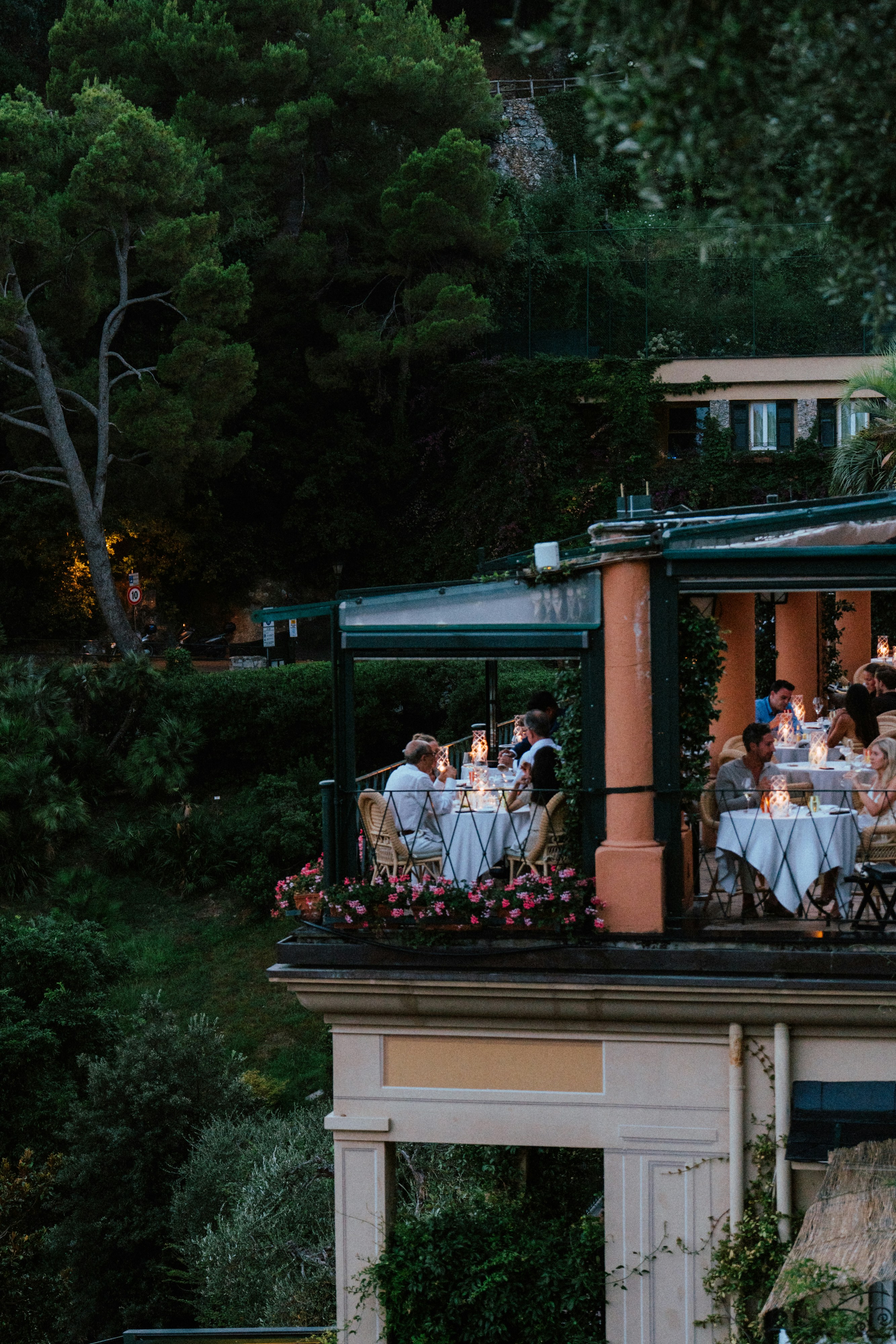 Terrace at Dusk: Candlelit Dinner Amid Pines