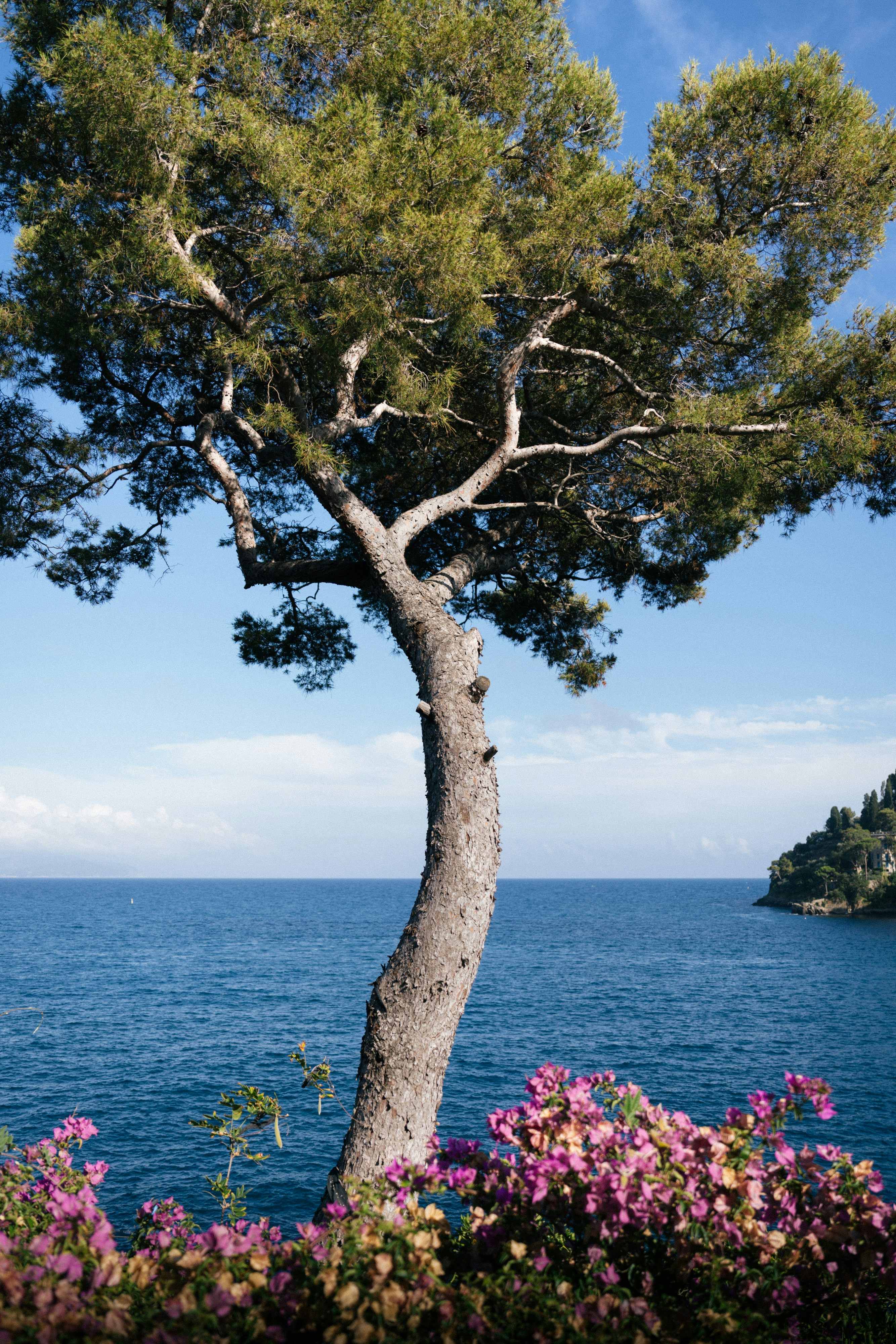 Whispers of the Mediterranean