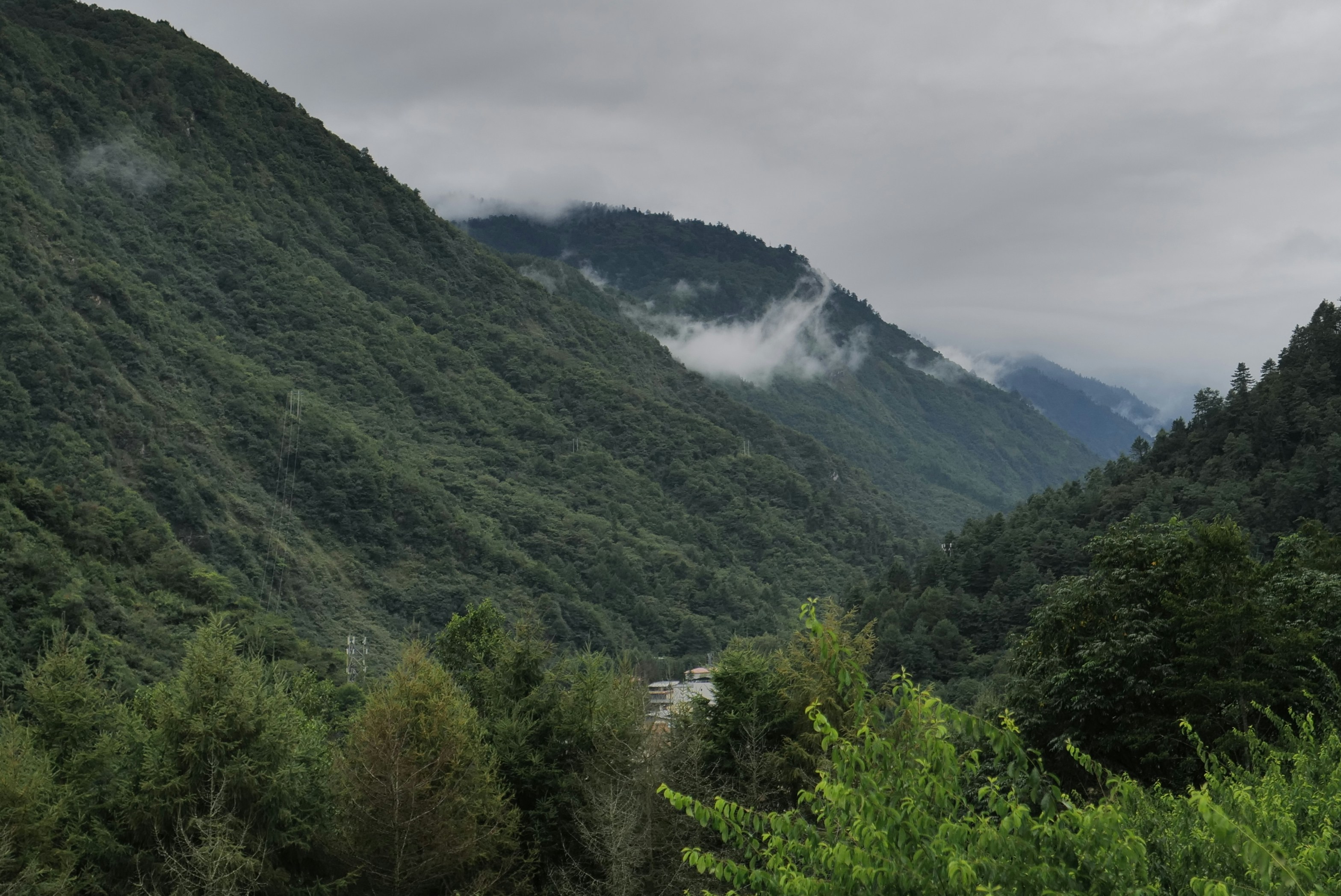 Whispers of the Mountain Veil