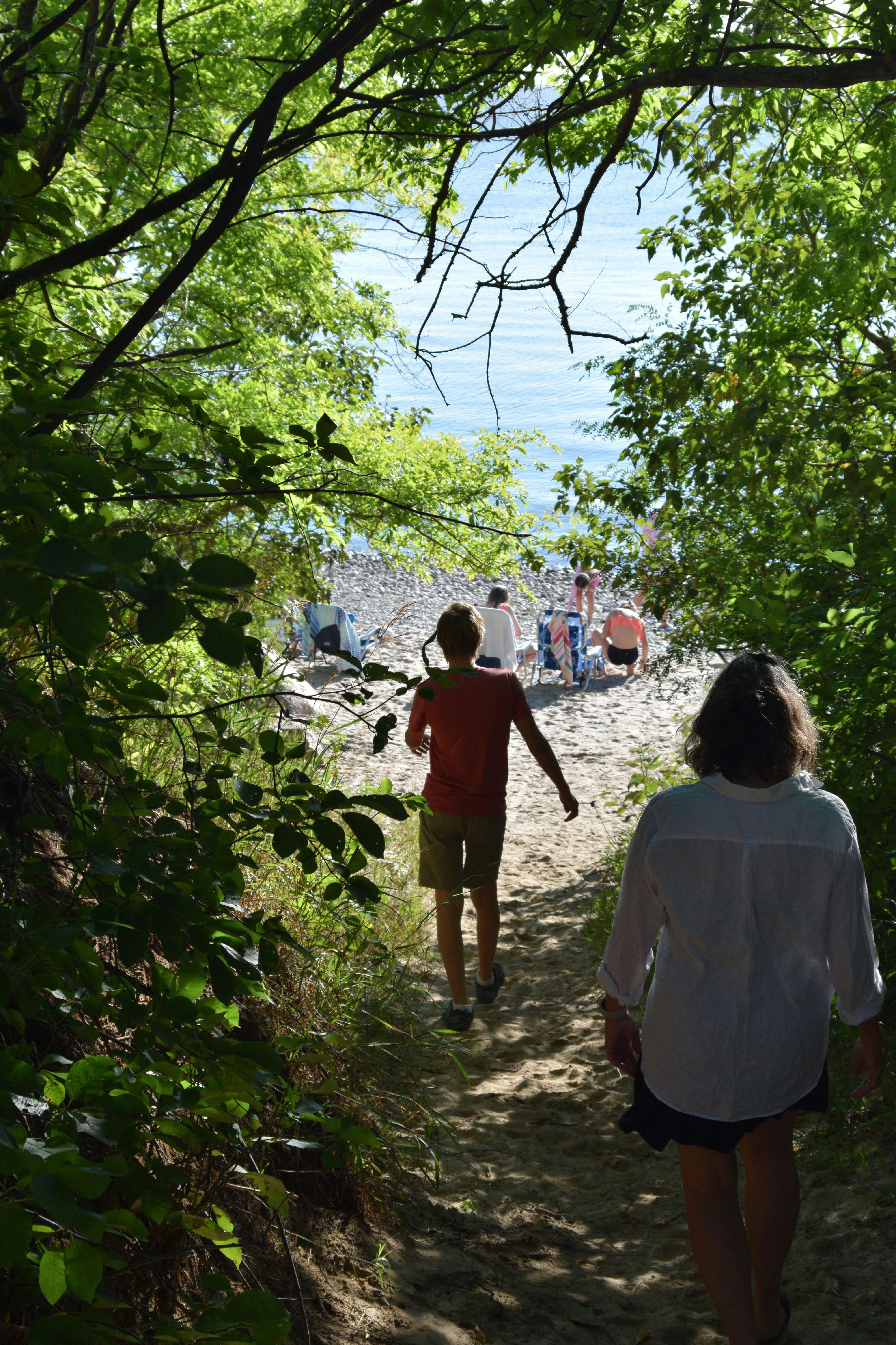 Journey to the Shoreline: A Pathway Through Nature