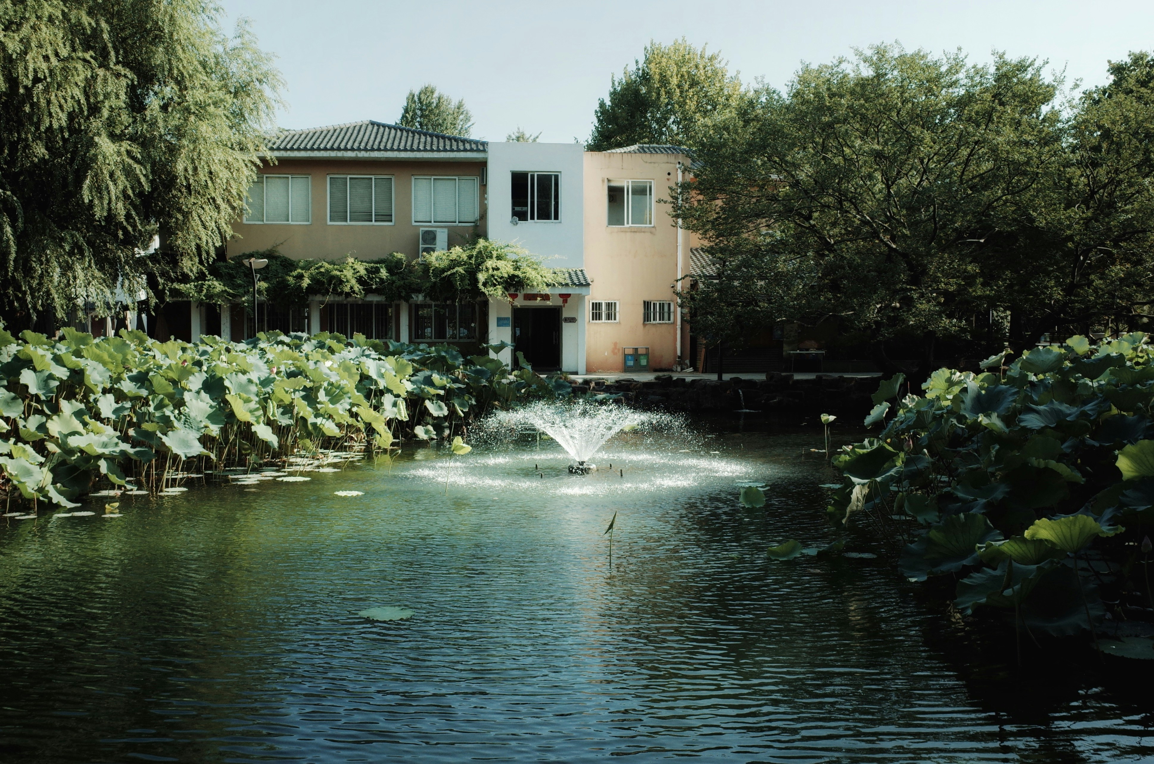 Centerpiece Fountain Breathing Life into a Quiet Suburban Pond