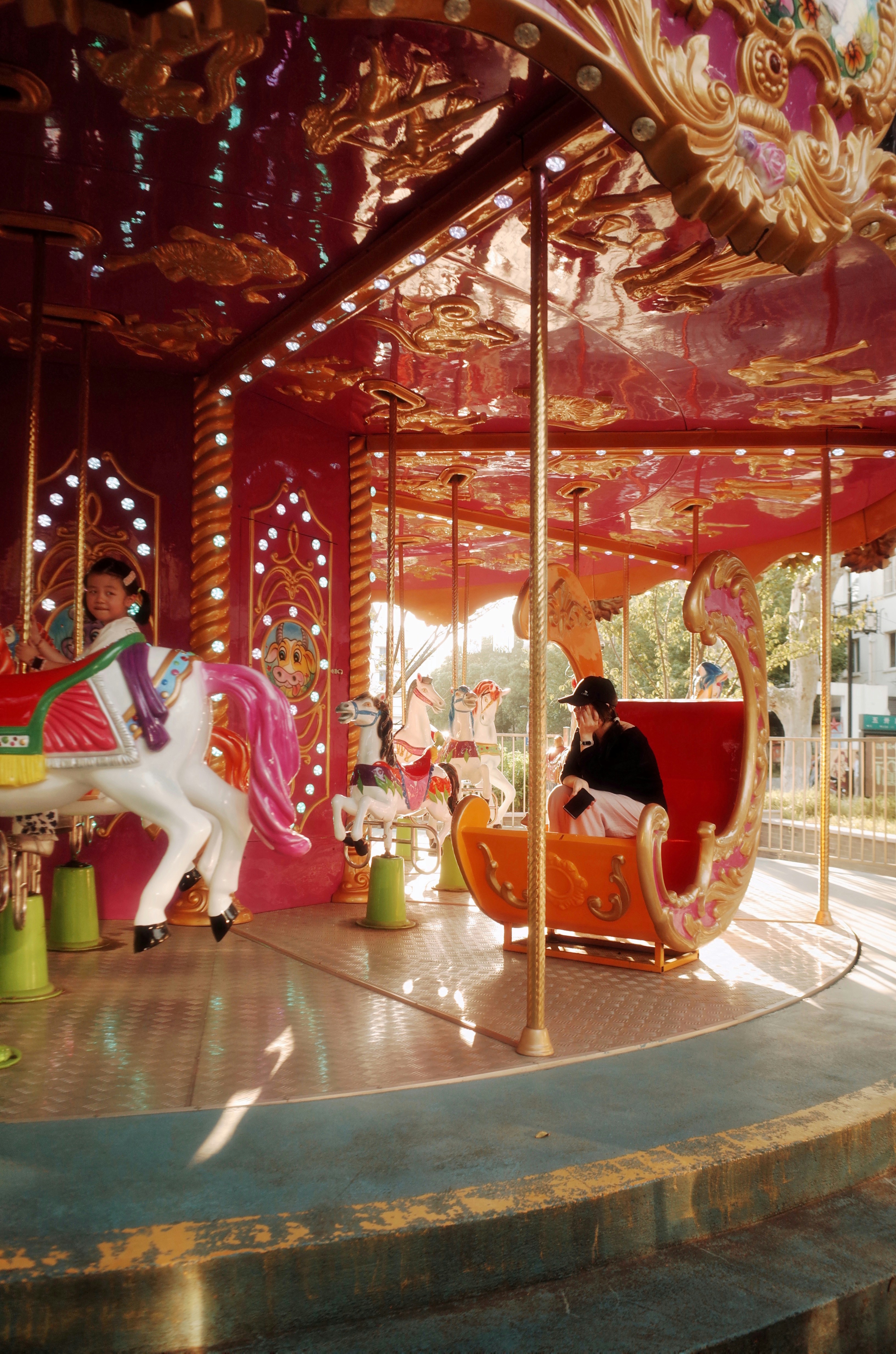 Carousel Quietude: A Skewed Glance at Painted Horses and Carriage Lights