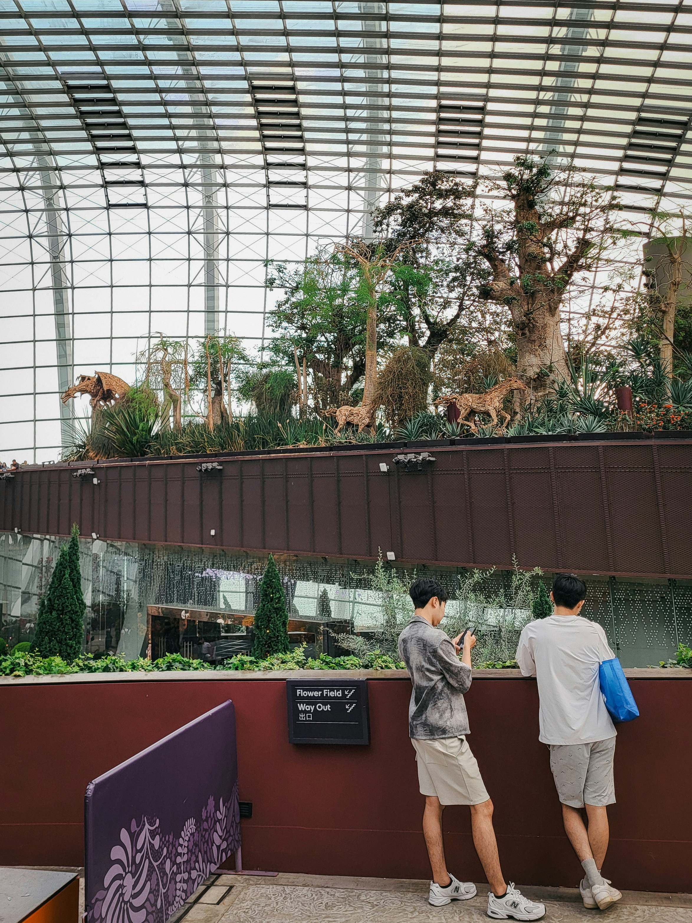 Urban Oasis: A Journey Through Nature's Embrace