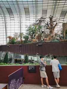 Urban Oasis: A Journey Through Nature's Embrace