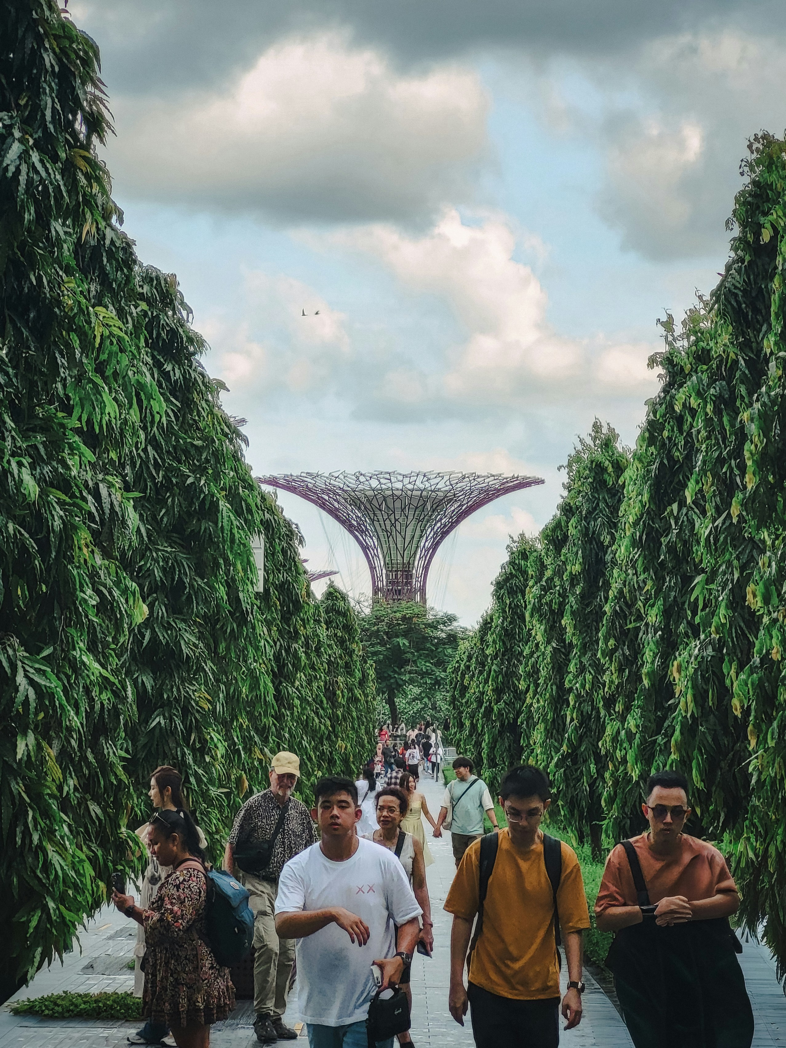 Urban Oasis: A Journey Through Greenery