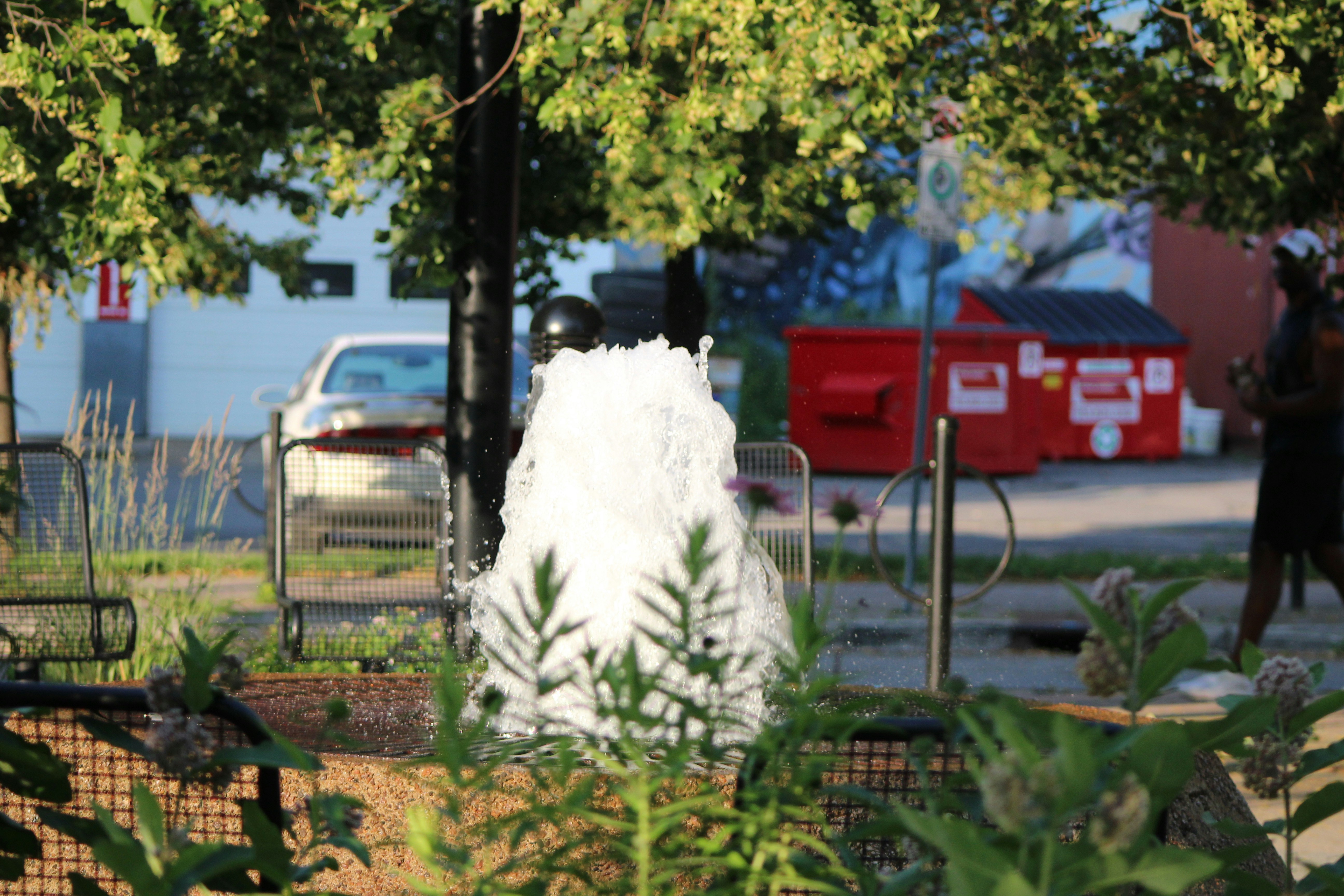 Urban Oasis: The Water's Dance