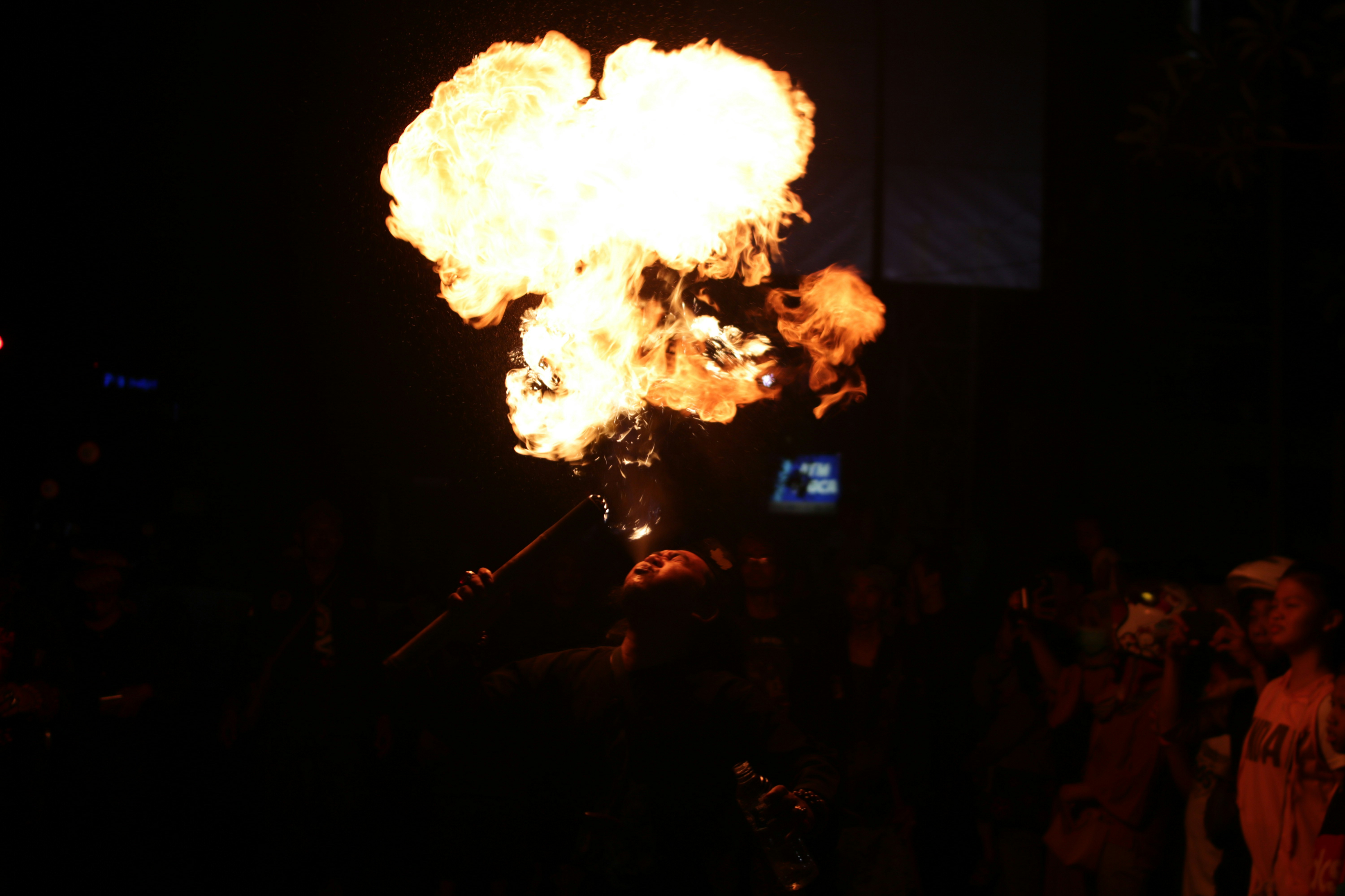 Dance of Flames: A Performer’s Fiery Expression