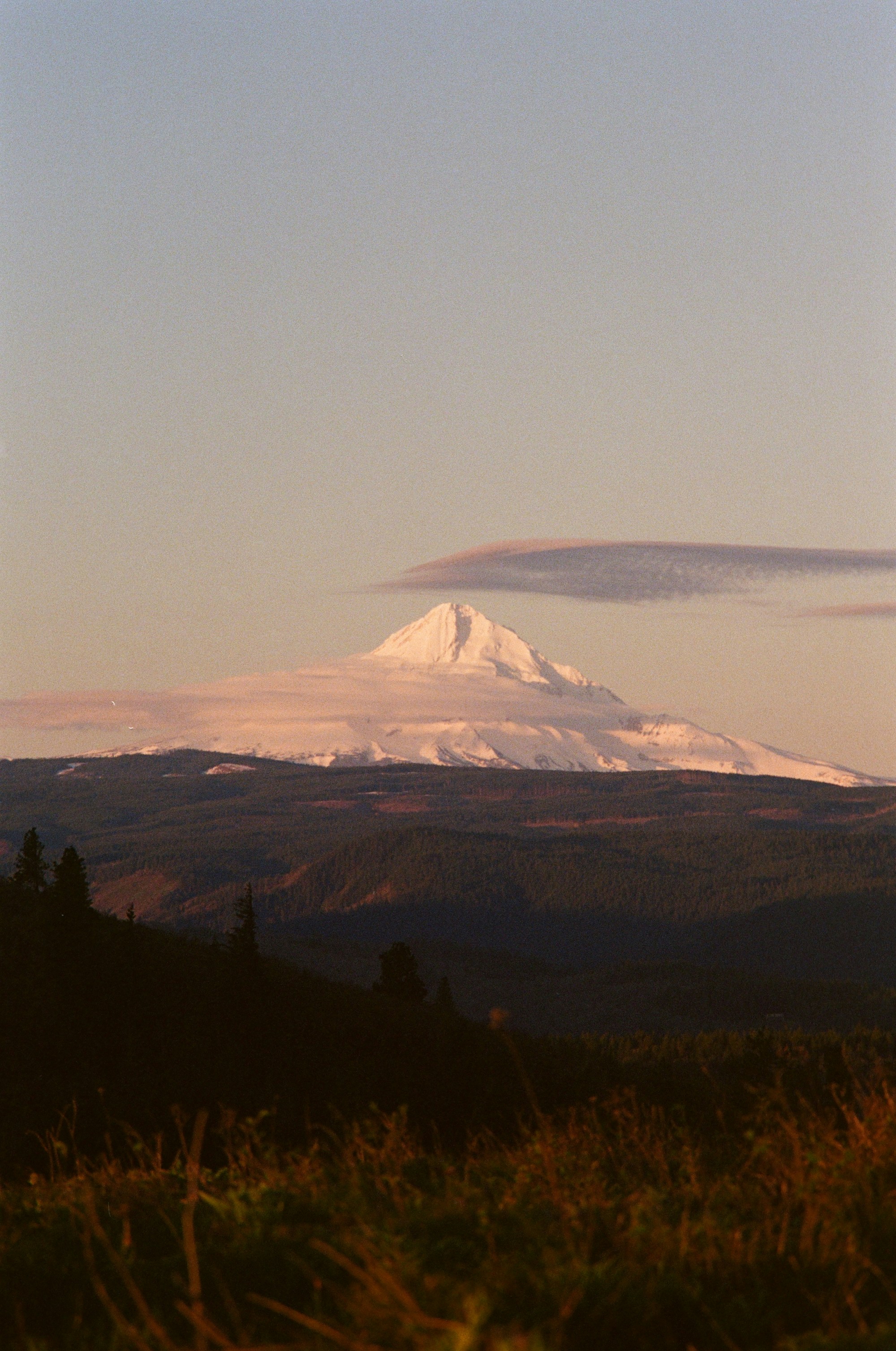 Sample photo from Minolta X-370