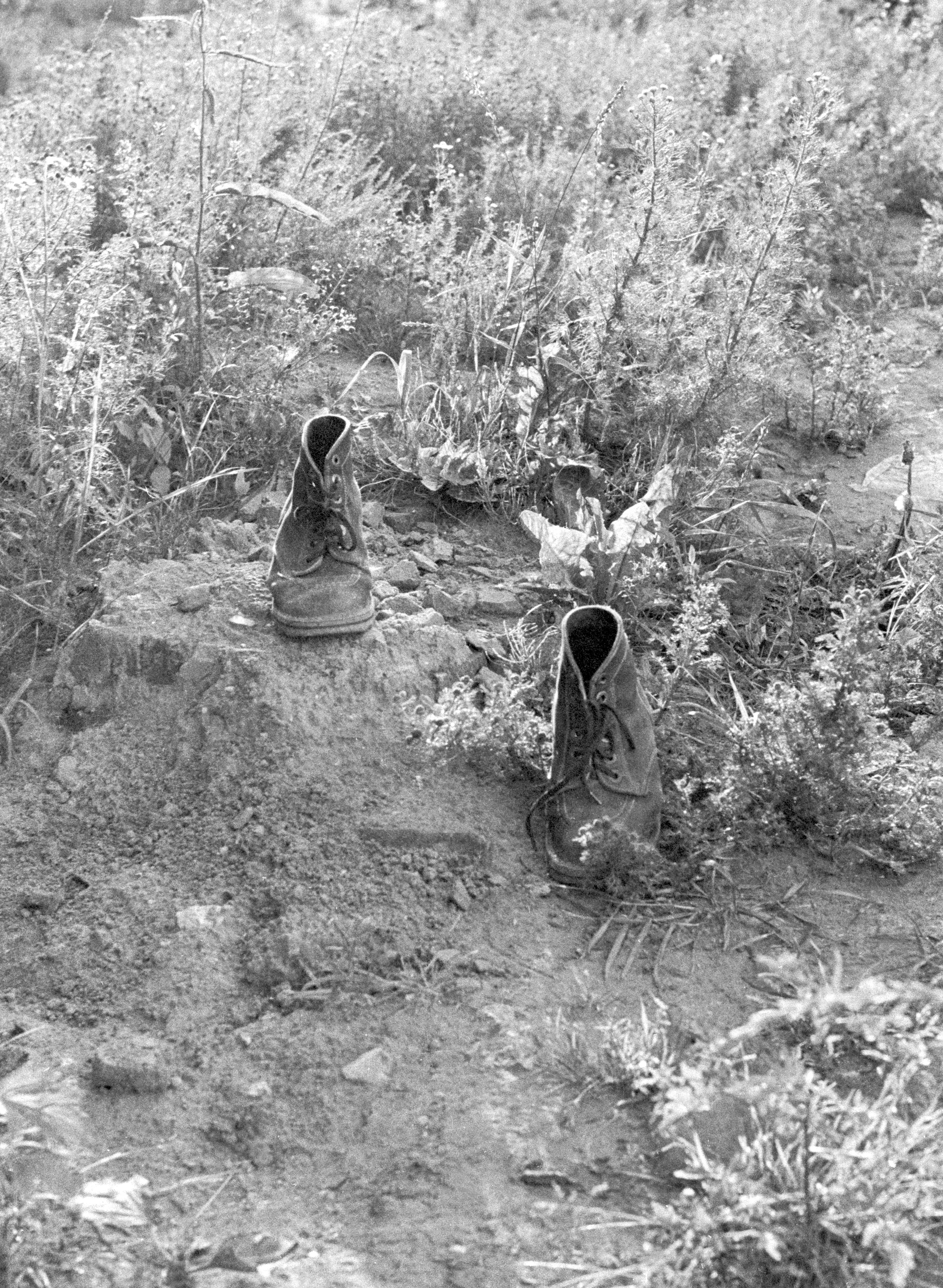 Worn-out boots resting on a grassy patch, surrounded by wild foliage. The scene evokes a sense of nostalgia and abandonment.