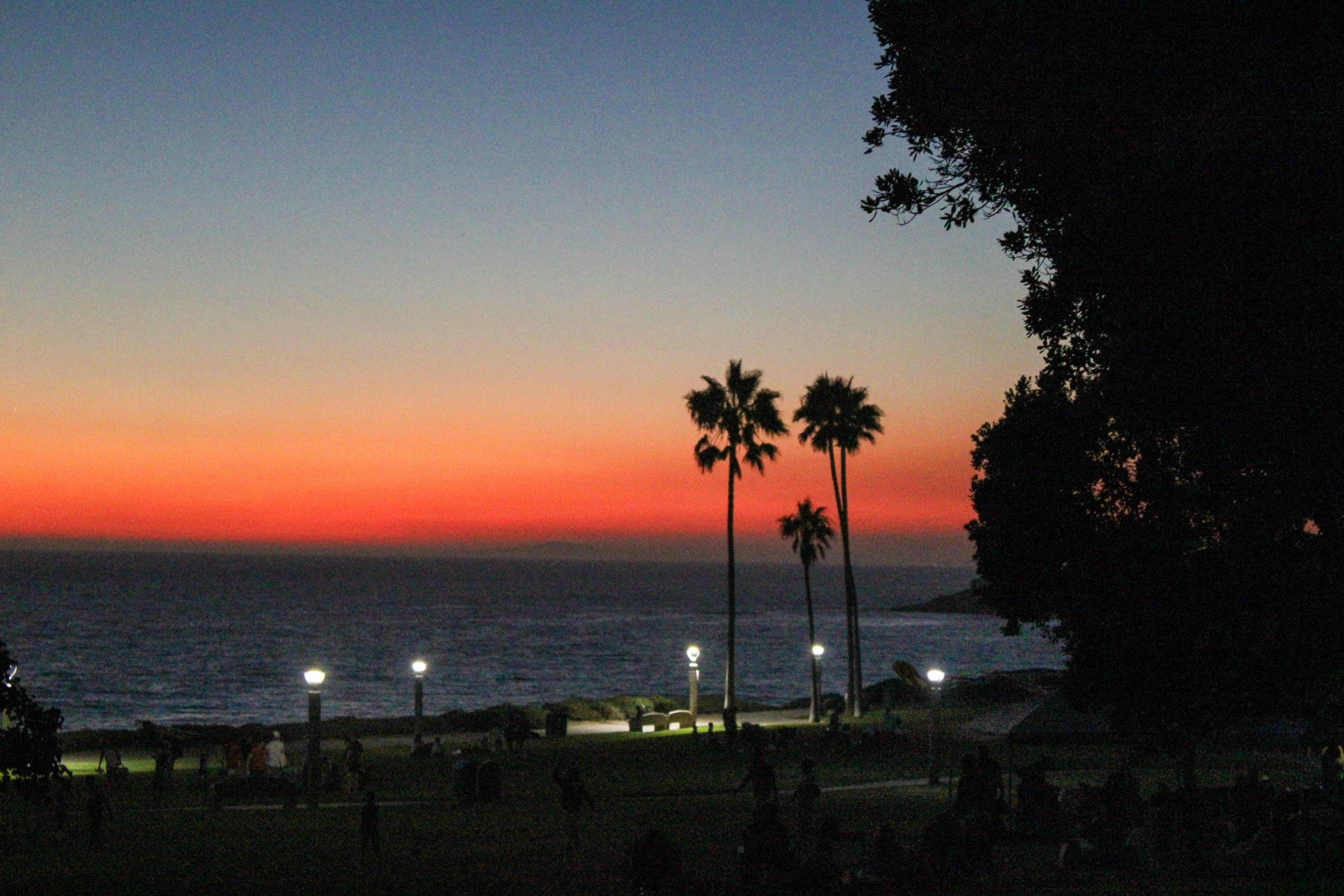 Palm trees silhouetted against a vibrant sunset over the ocean.