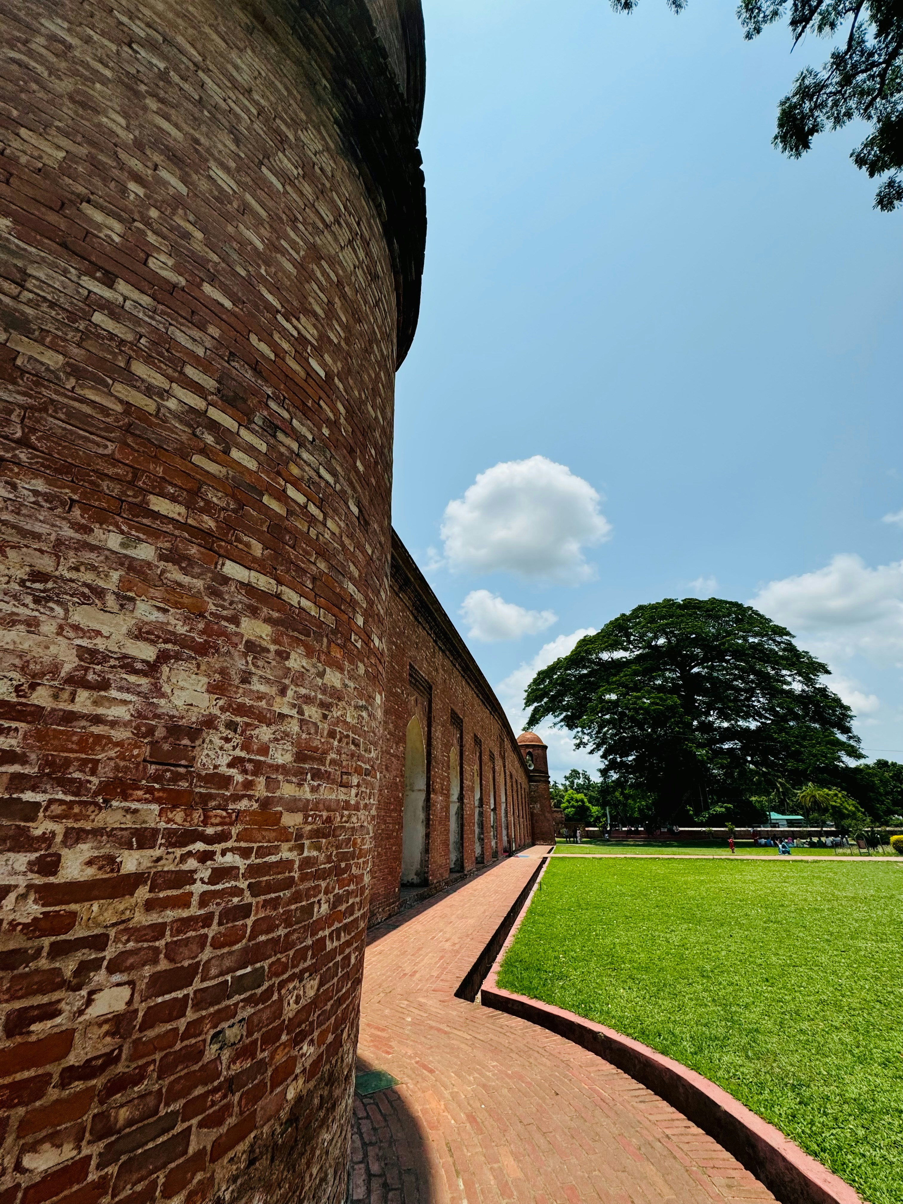 Brick wall pathway leading to a large tree