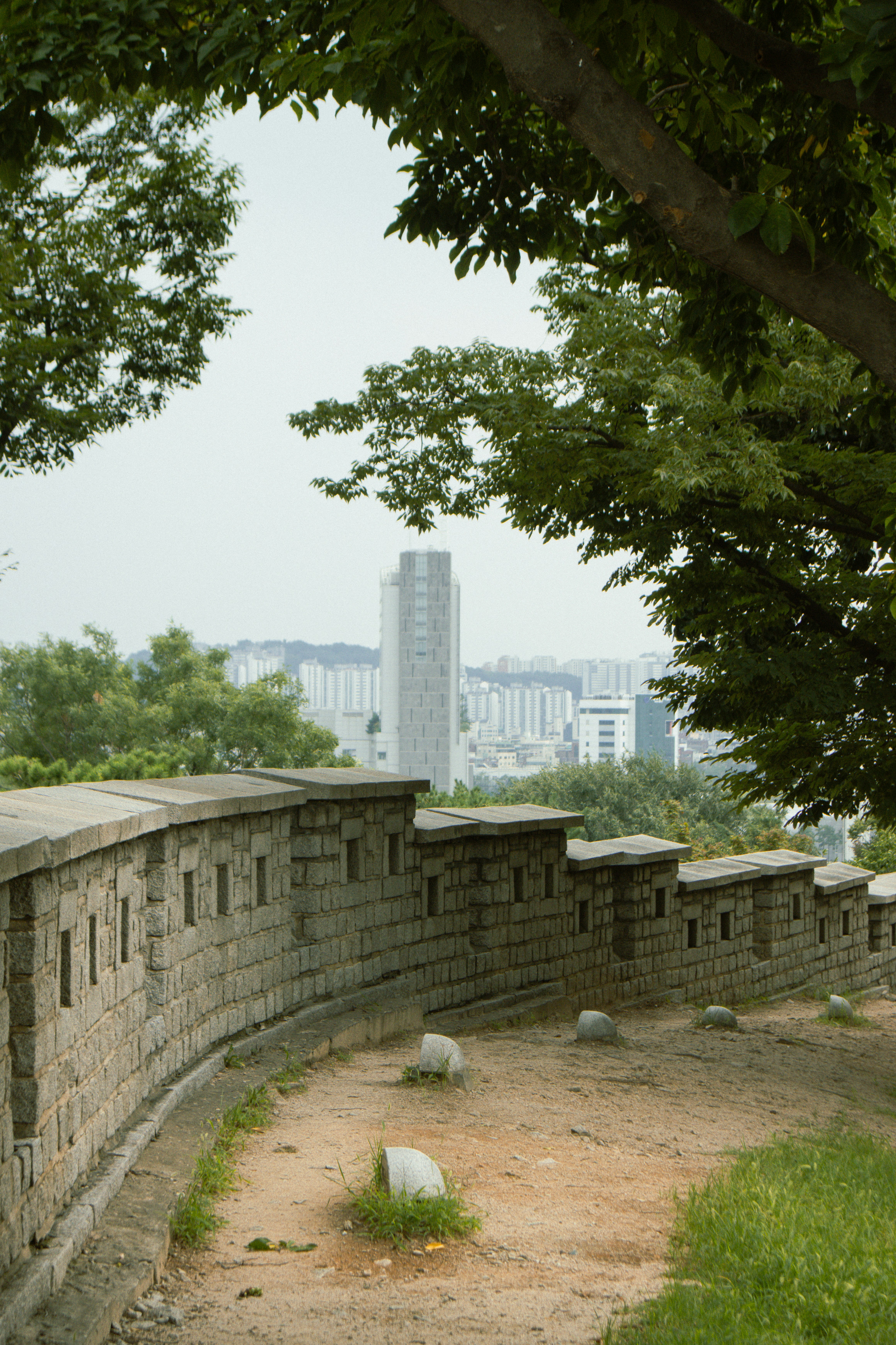 Urban Tranquility: A Glimpse Beyond the Walls
