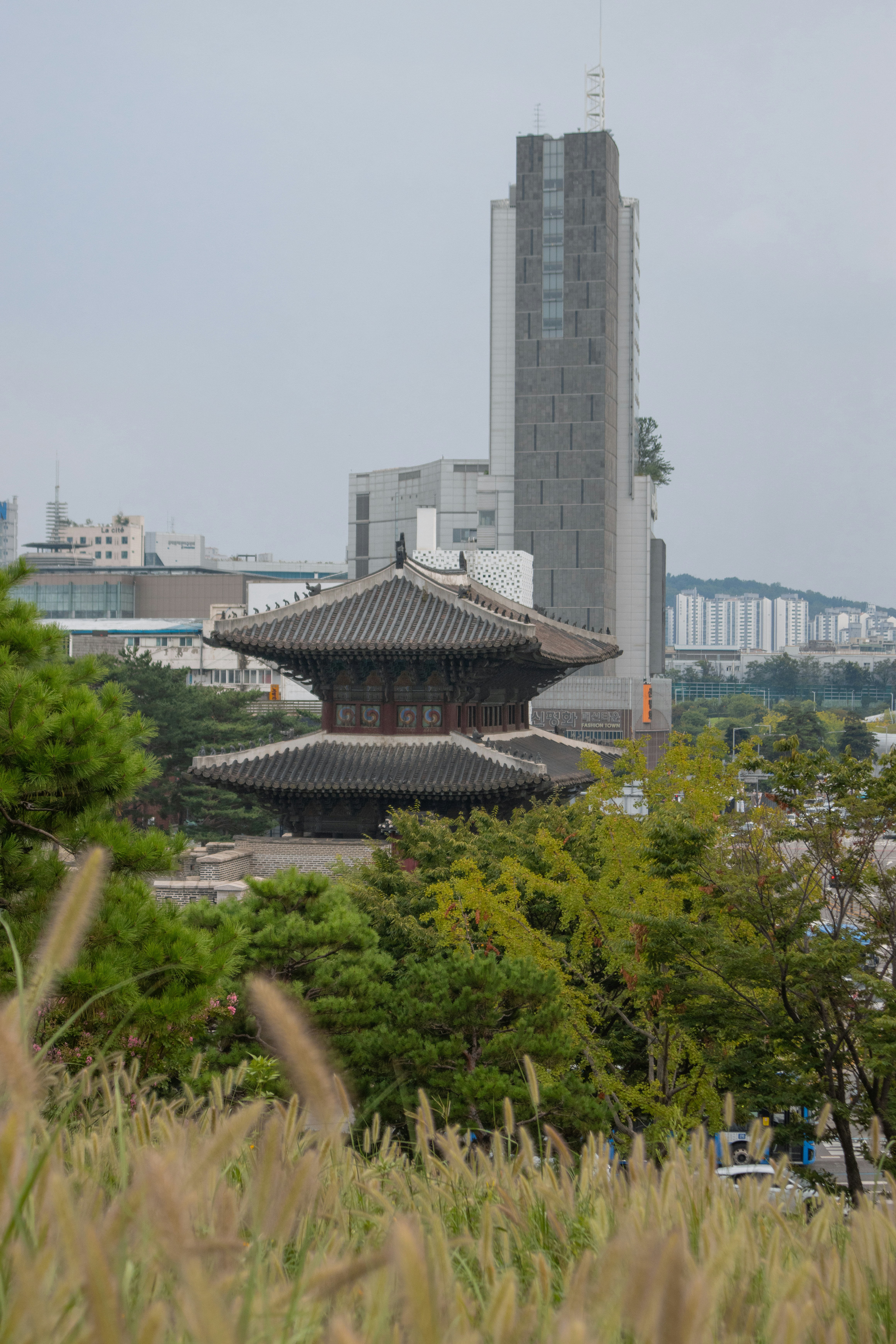 Harmony of Tradition and Modernity