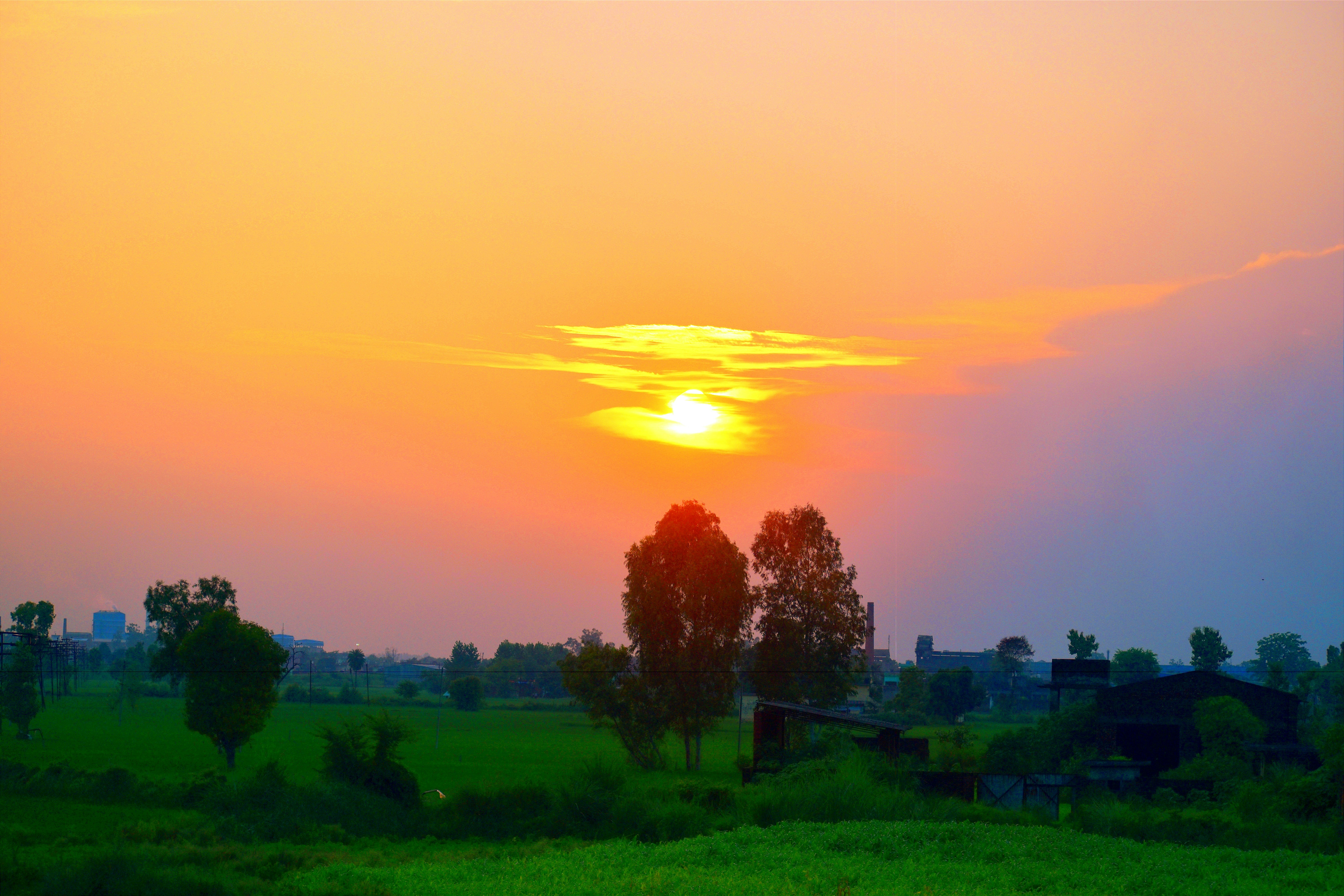 This photo captures a beautiful sunset. The sky is painted in shades of orange and pink, with the sun partially hidden behind the clouds. In the foreground, lush green fields and tall trees stand gracefully, while a small water body reflects the warm colors of the sky. The whole scene gives a feeling of peace and calmness. | Golden sunset over a green landscape with trees