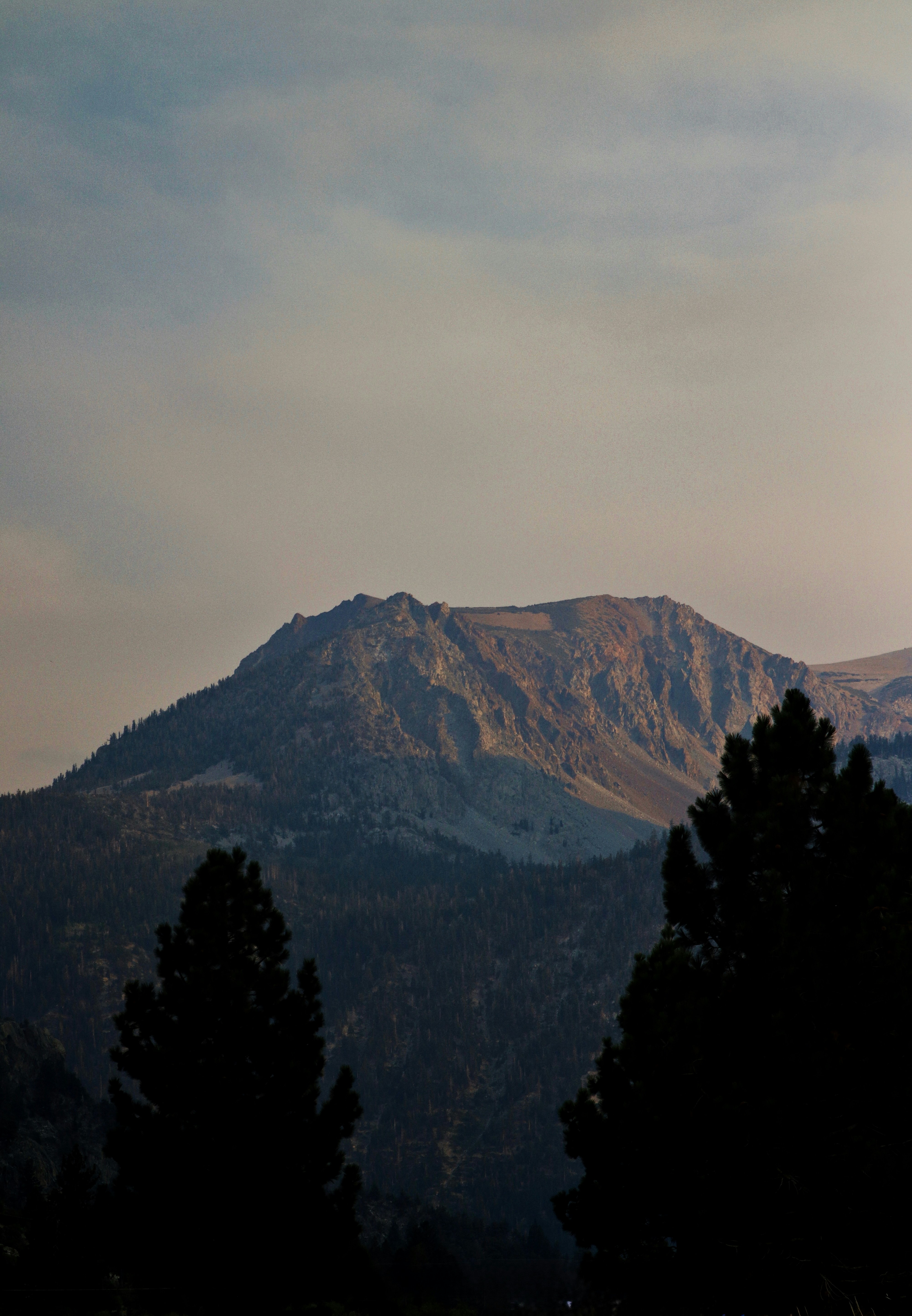 Whispers of the Mountain's Edge