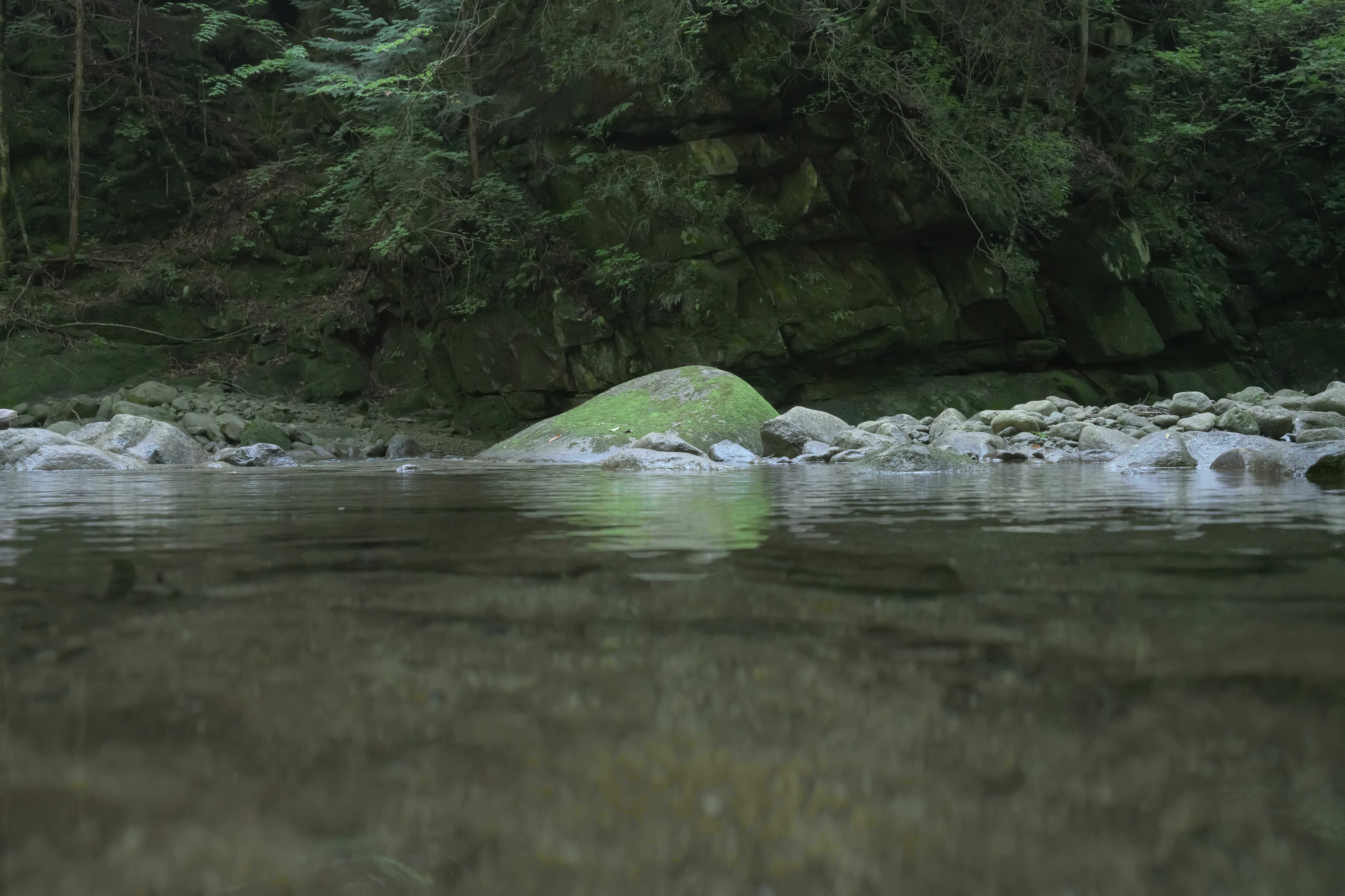 Whispers of the Streambed