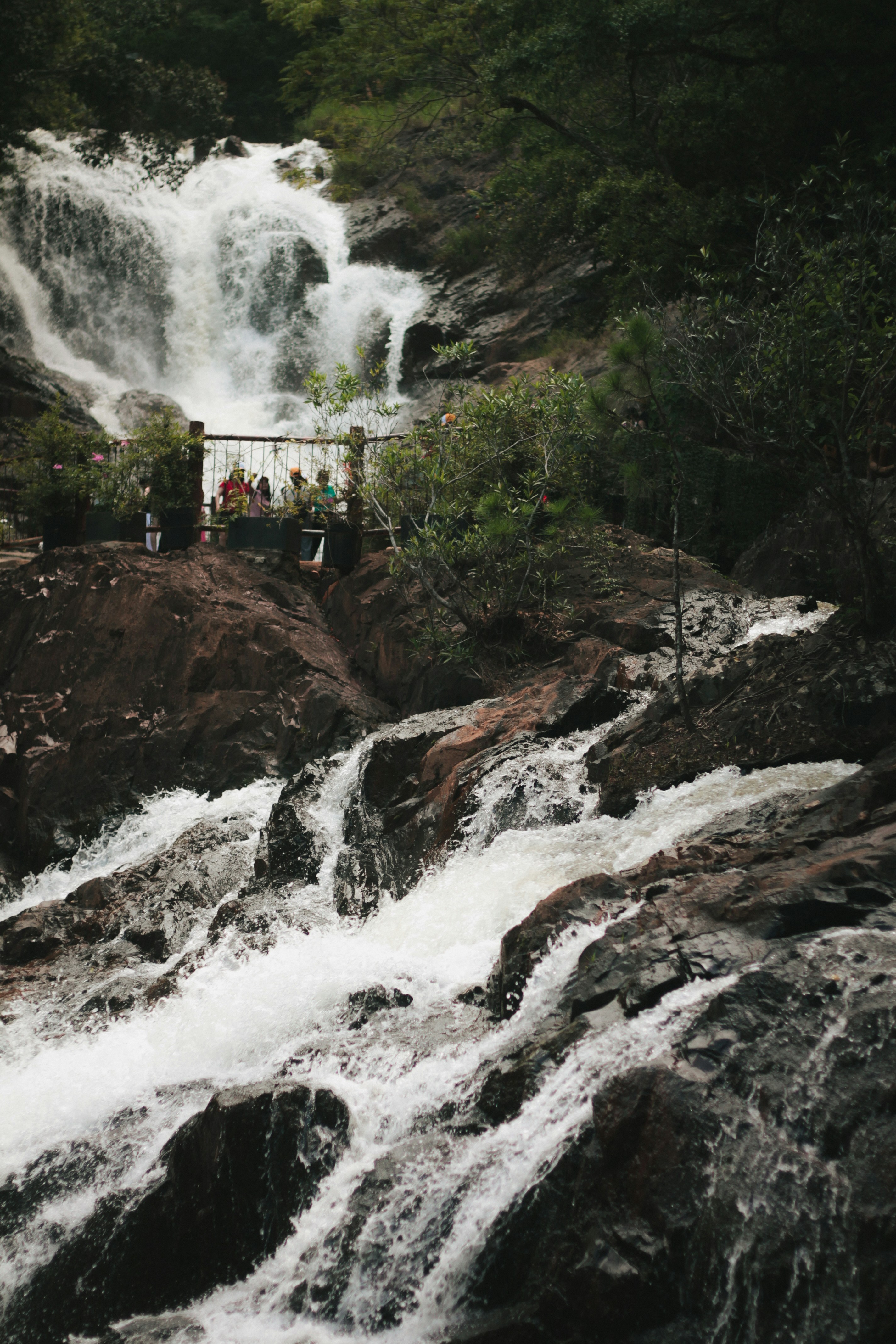 Edge of the Falls: Deckside View Through a Forest Gorge