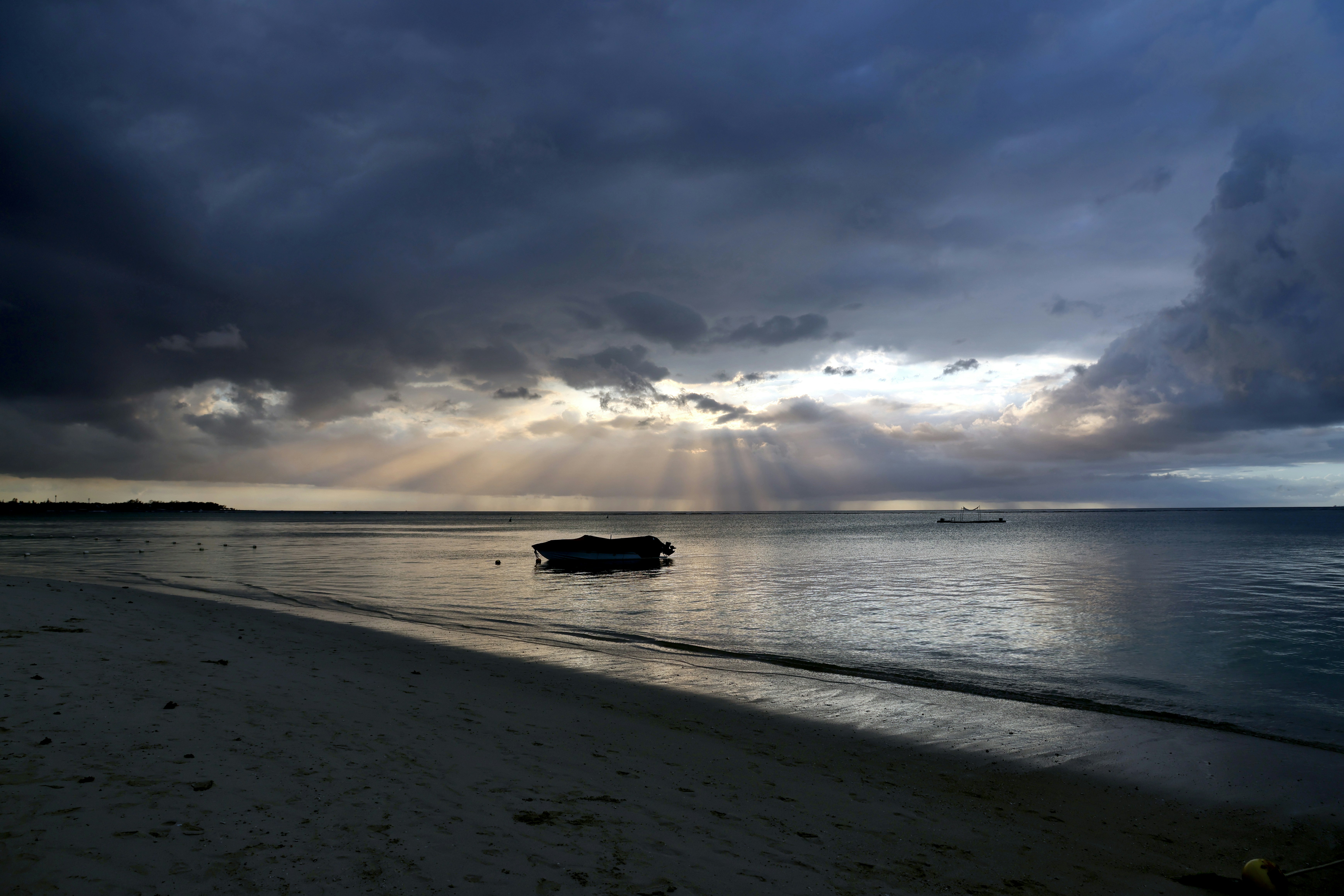 Whispers of Twilight: A Coastal Reverie