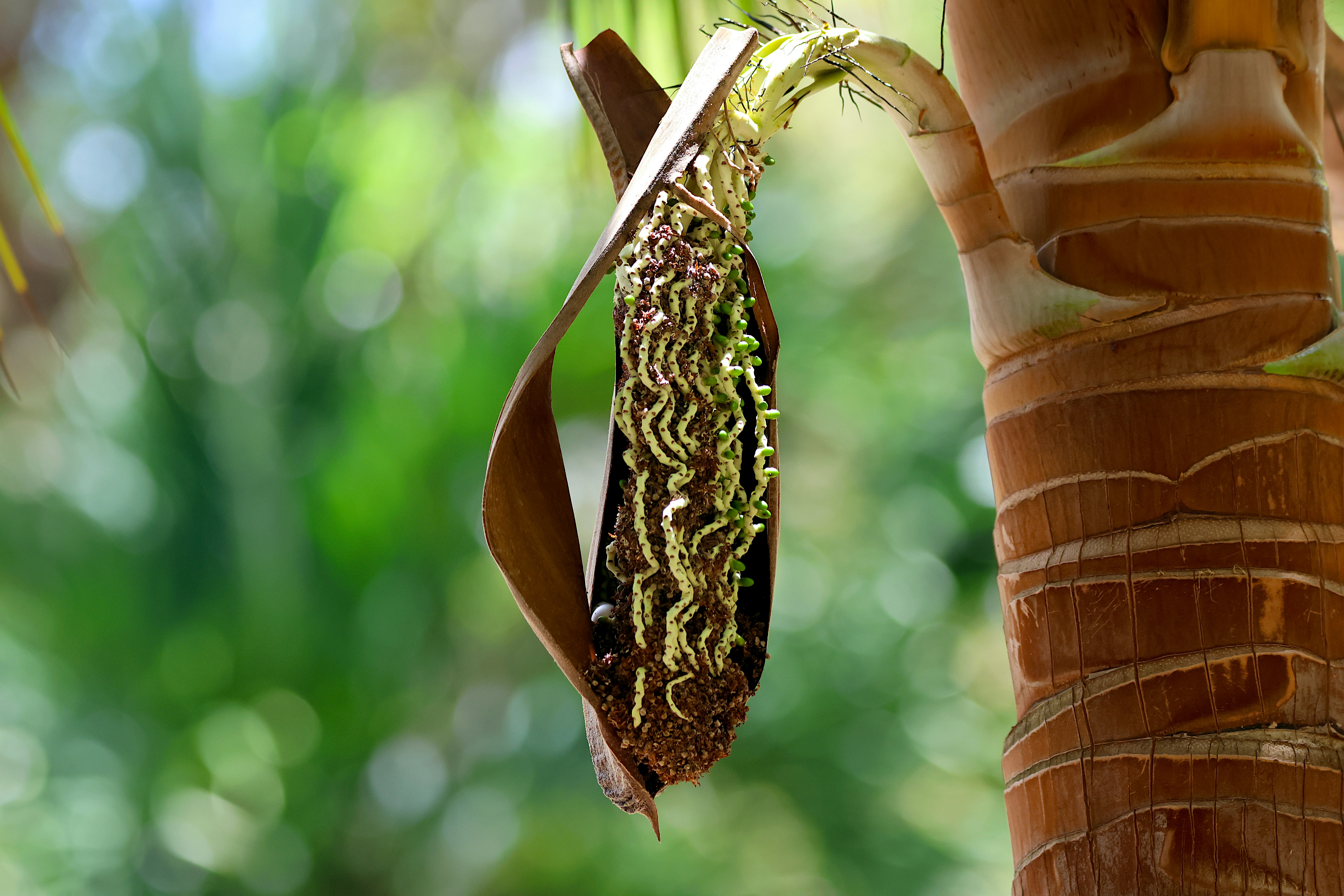 Photo by Frank Eiffert with Canon EOS R7