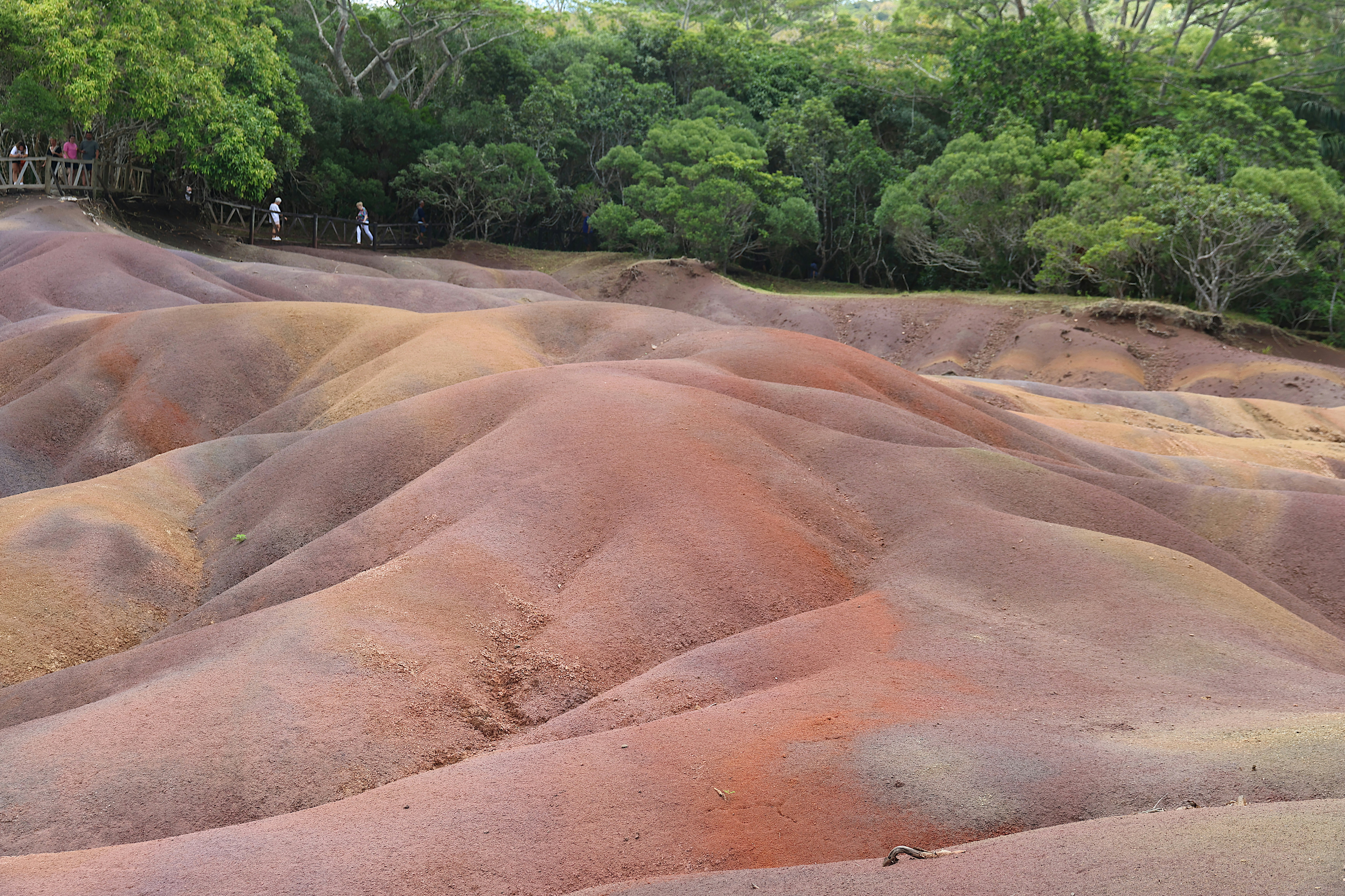 Vibrant, undulating hills of red and ochre hues surrounded by lush greenery, showcasing the natural beauty of the landscape.
