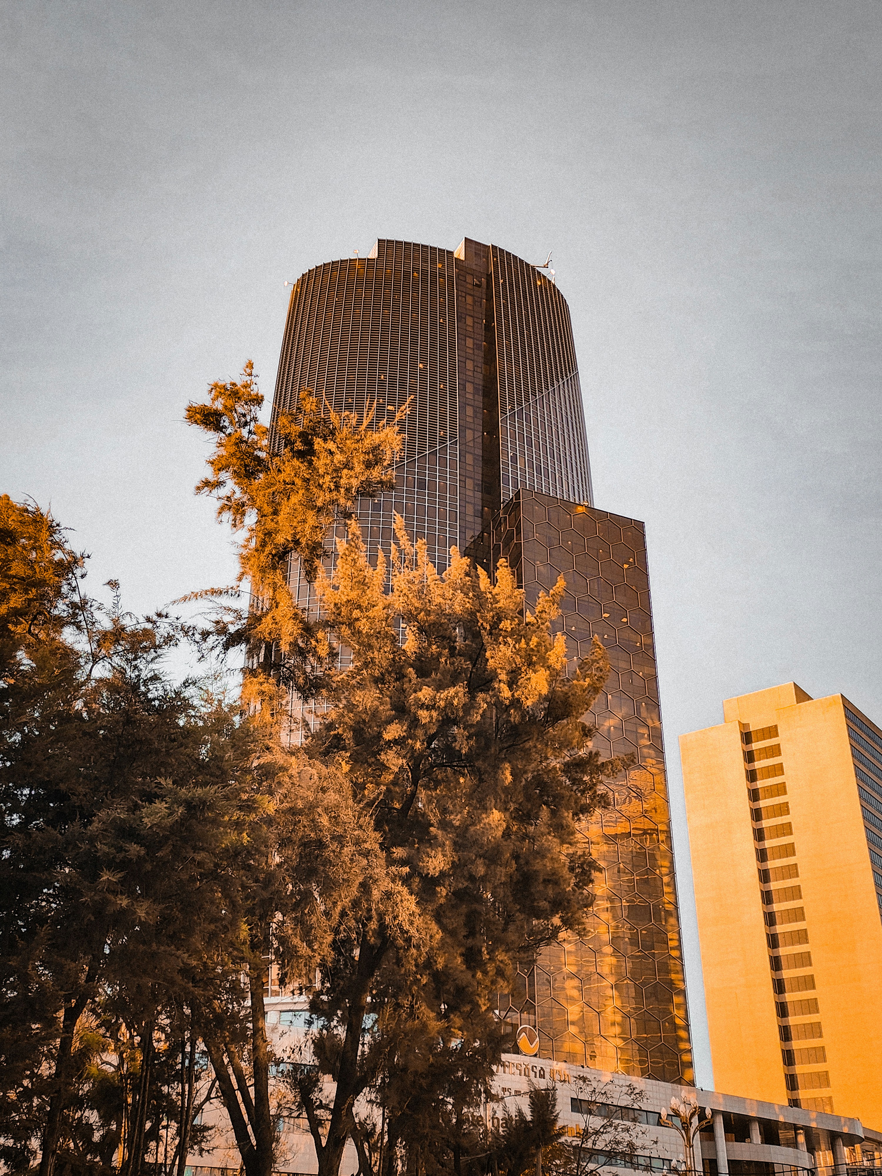 Skyline of Addis Ababa with the Nib International Bank tower standing tall among modern high-rises, framed by lush greenery and a dramatic cloudy sky. | Modern skyscraper behind autumn trees
