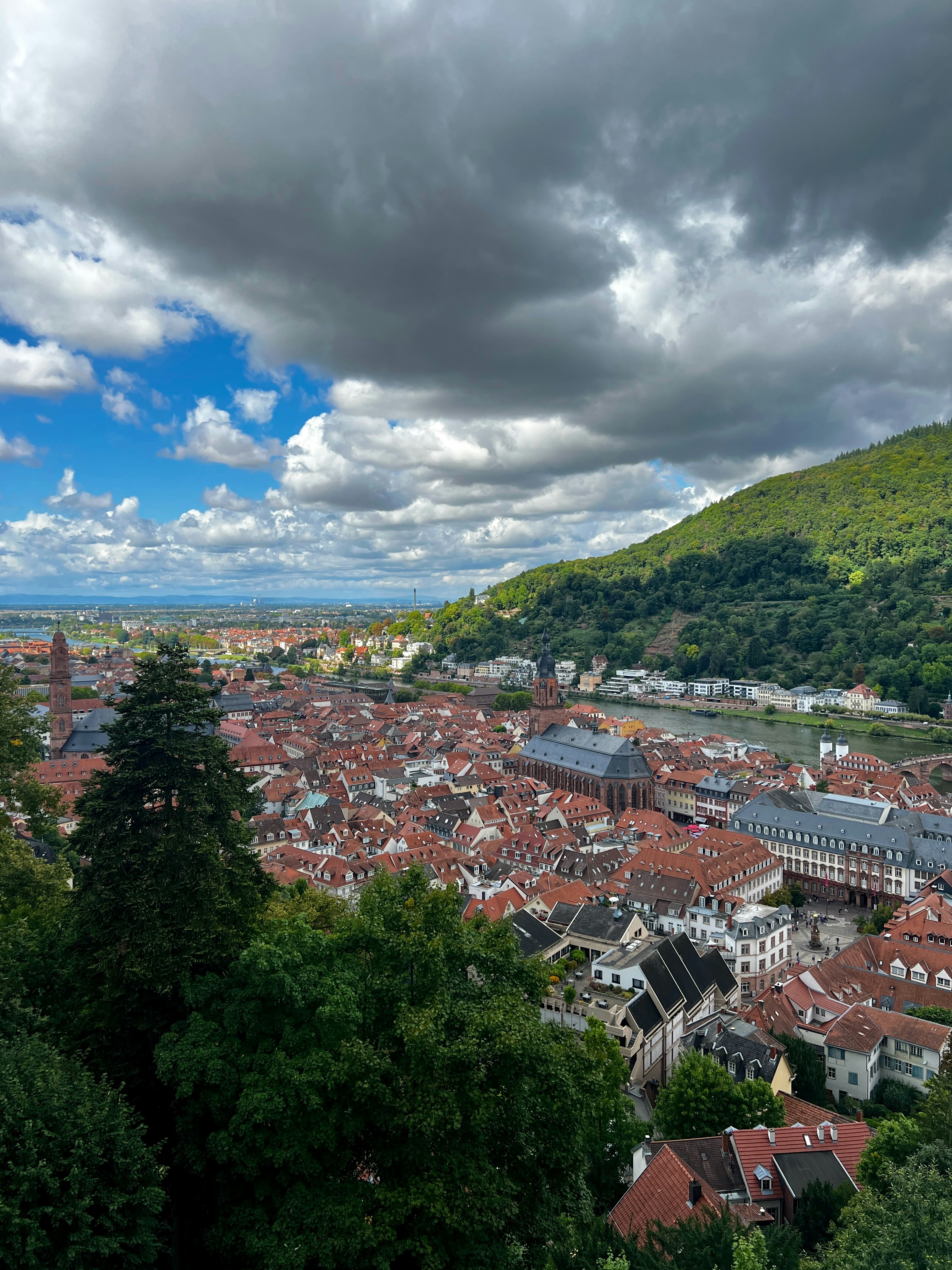A panoramic view of Heidelberg's charming rooftops nestled against a backdrop of lush hills and dramatic clouds. The scene captures the essence of this historic city.