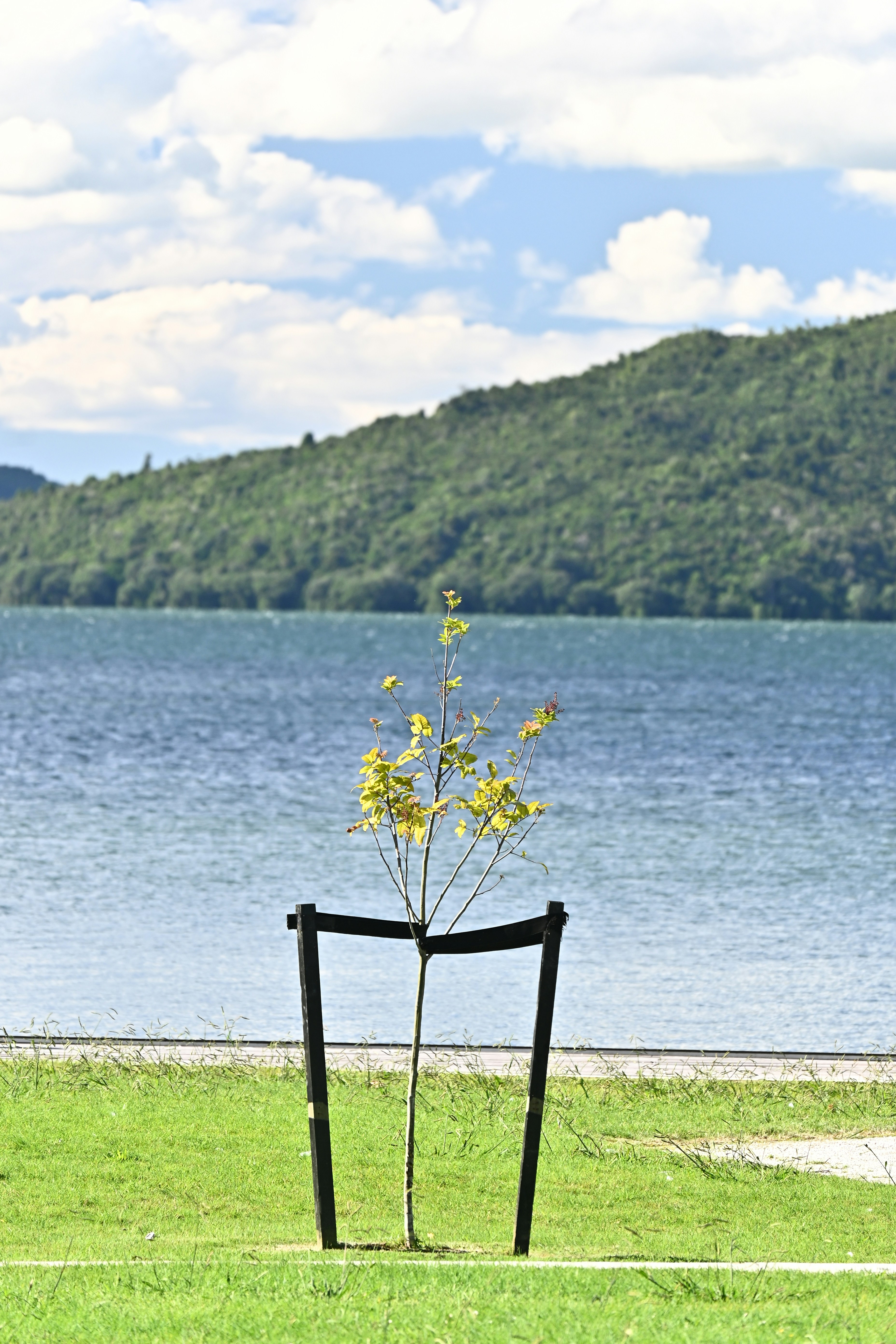 Resilience by the Water's Edge