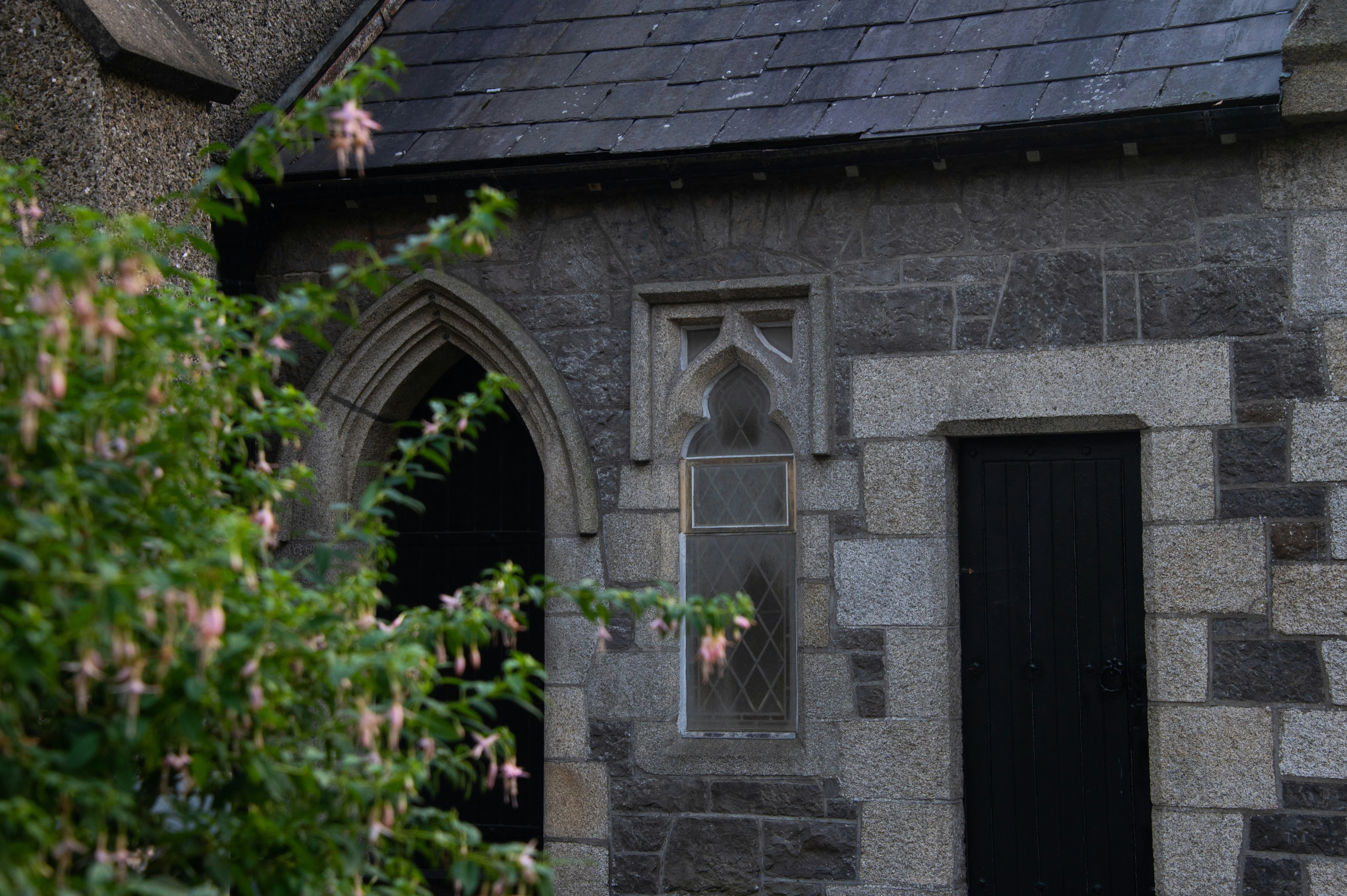 Historic stone building with intricate window design partially obscured by blooming foliage. The scene evokes a serene connection between architecture and nature.