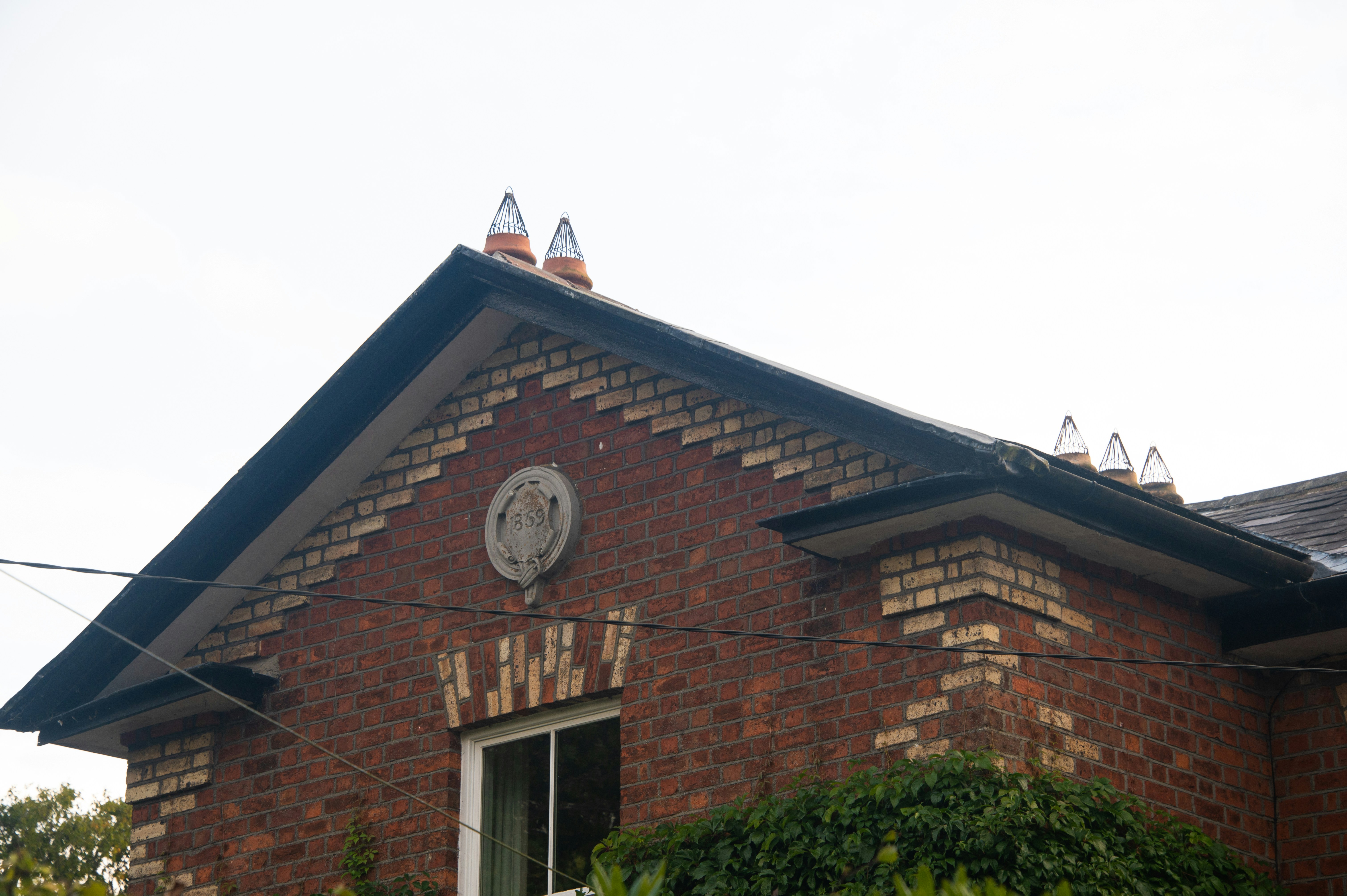 Crest Under the Gable: A Brick Facade Dressed in Ivy