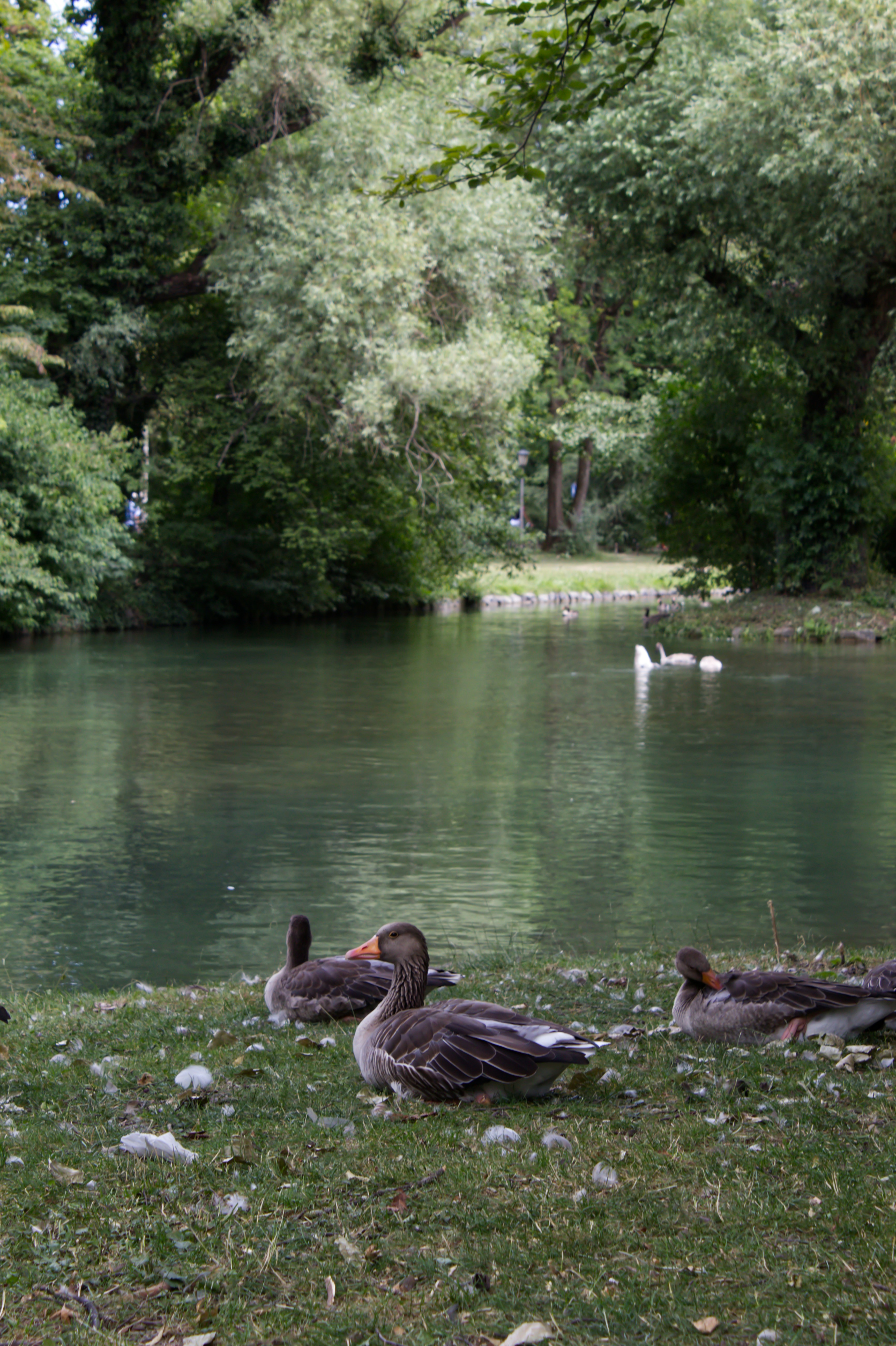 Serene Waterside Gathering