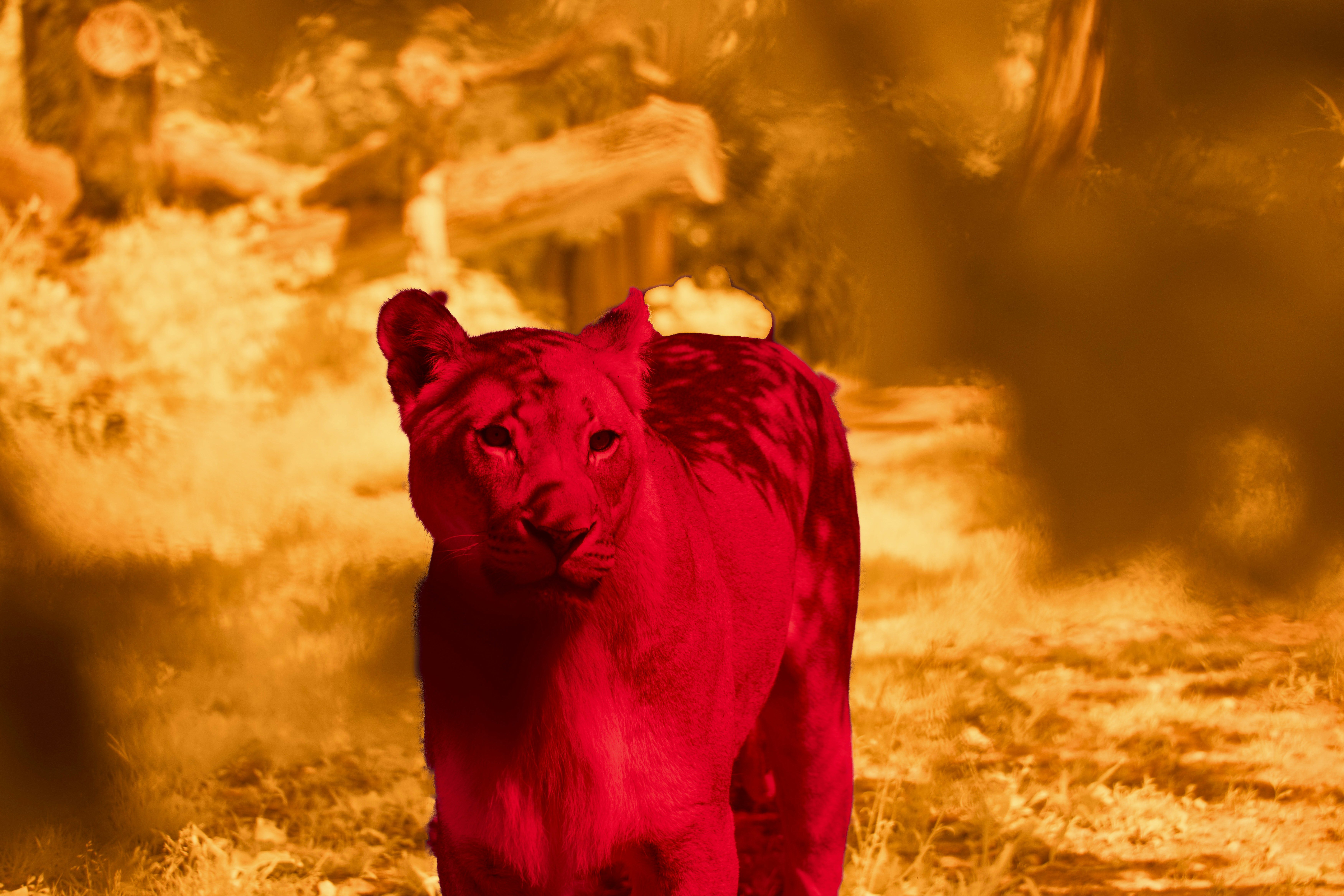 Eksperimental | Unsplash