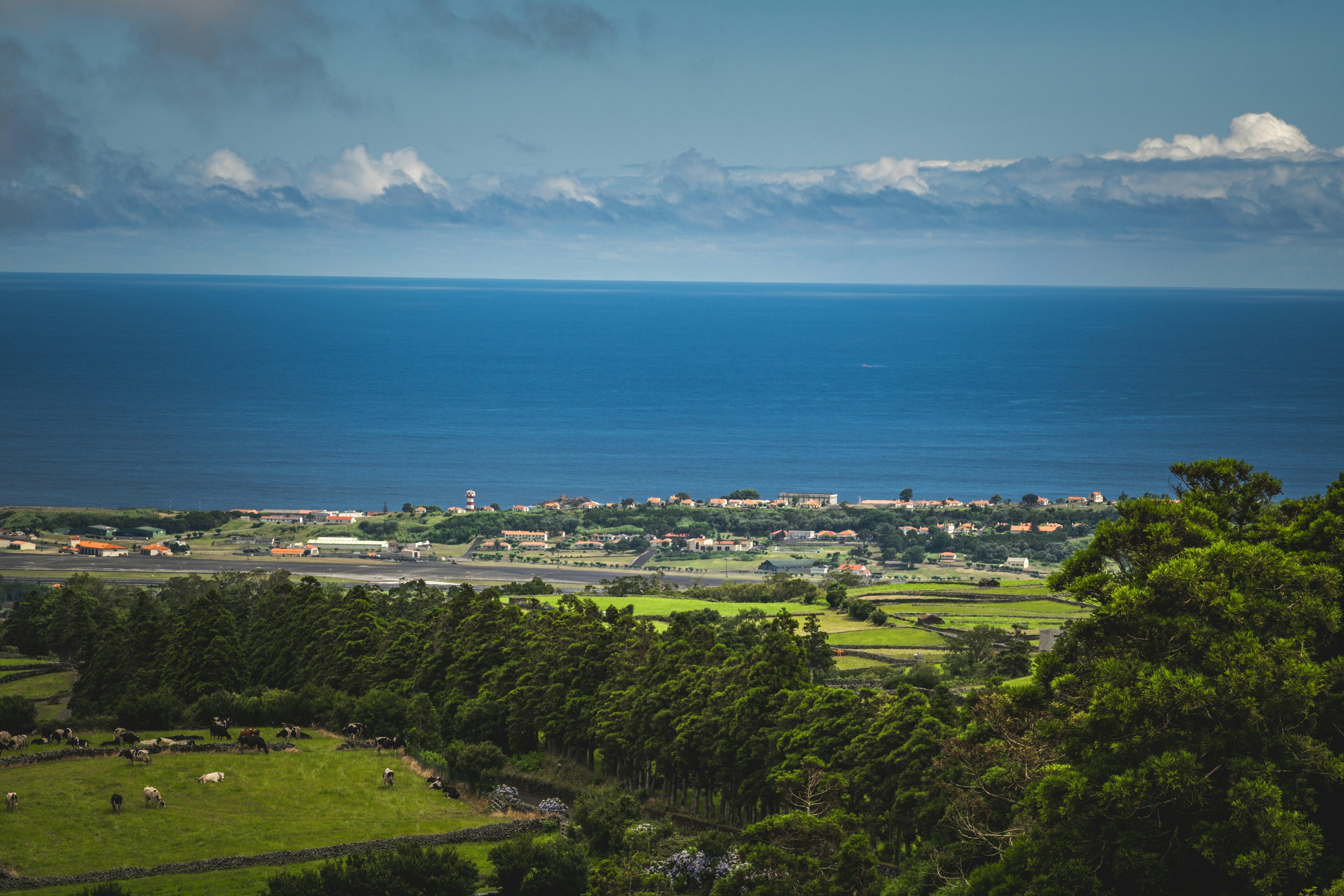 Serenity by the Sea: A Coastal Haven