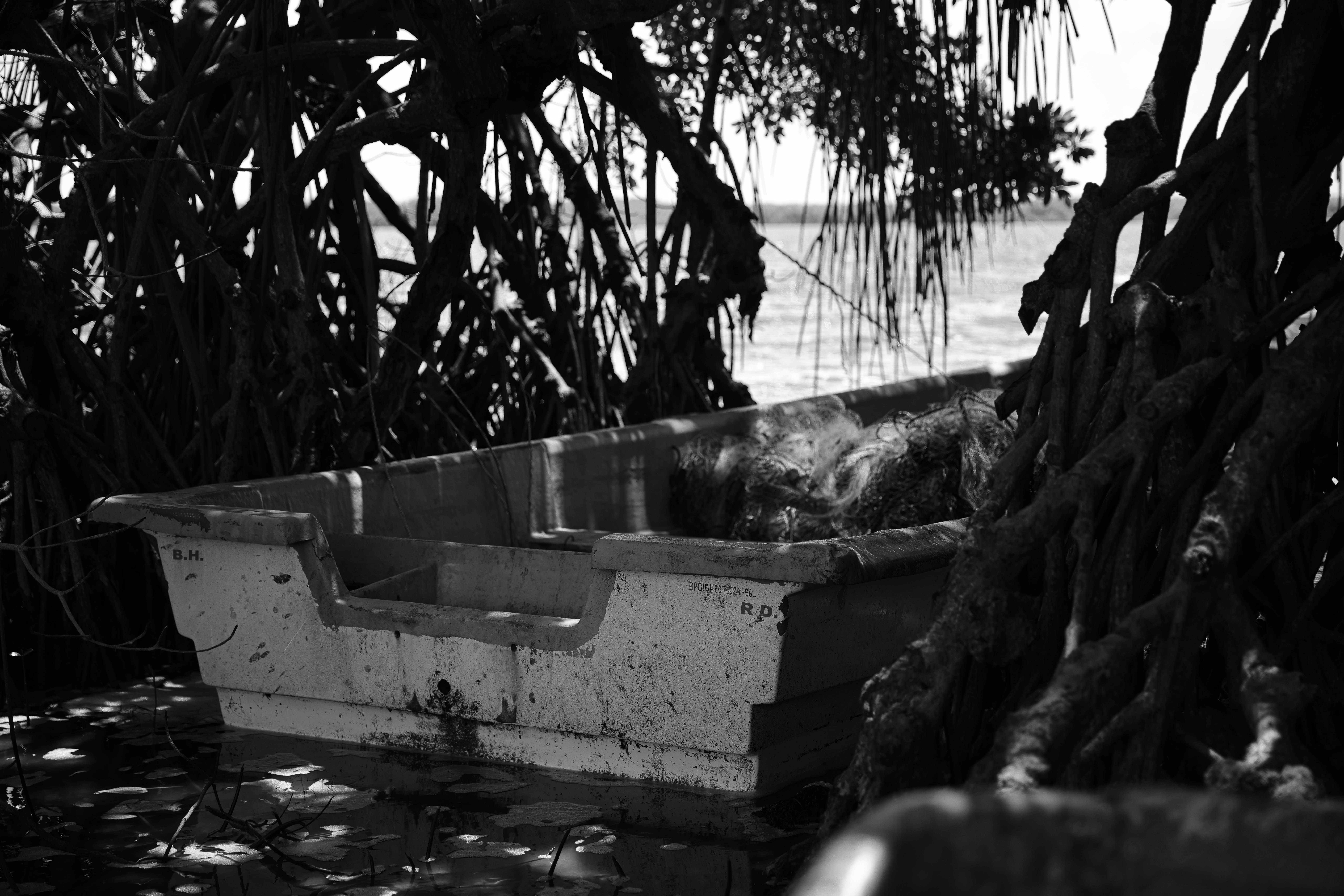 Forgotten Vessel Amidst Nature's Embrace