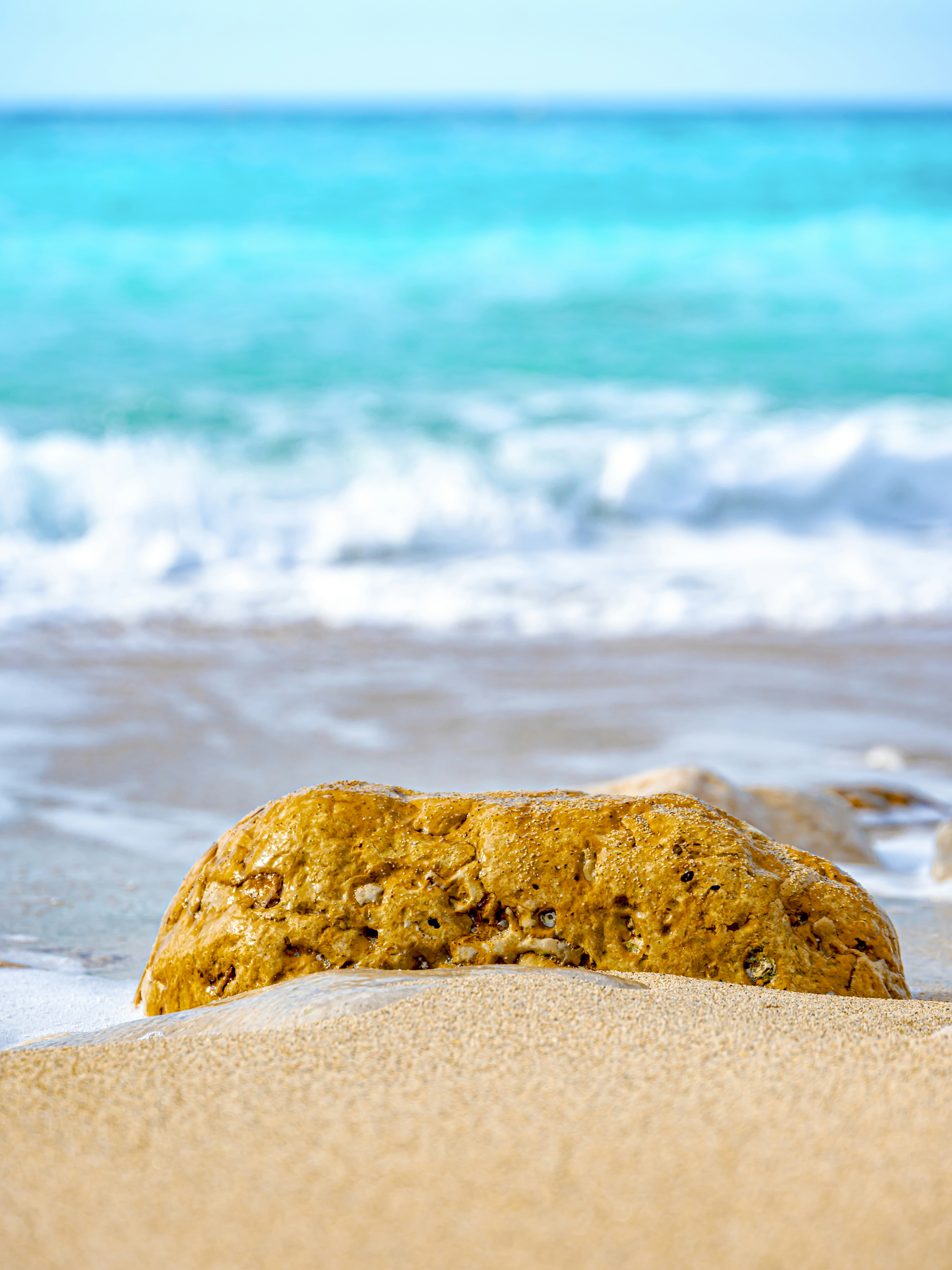 Nature's Textured Canvas