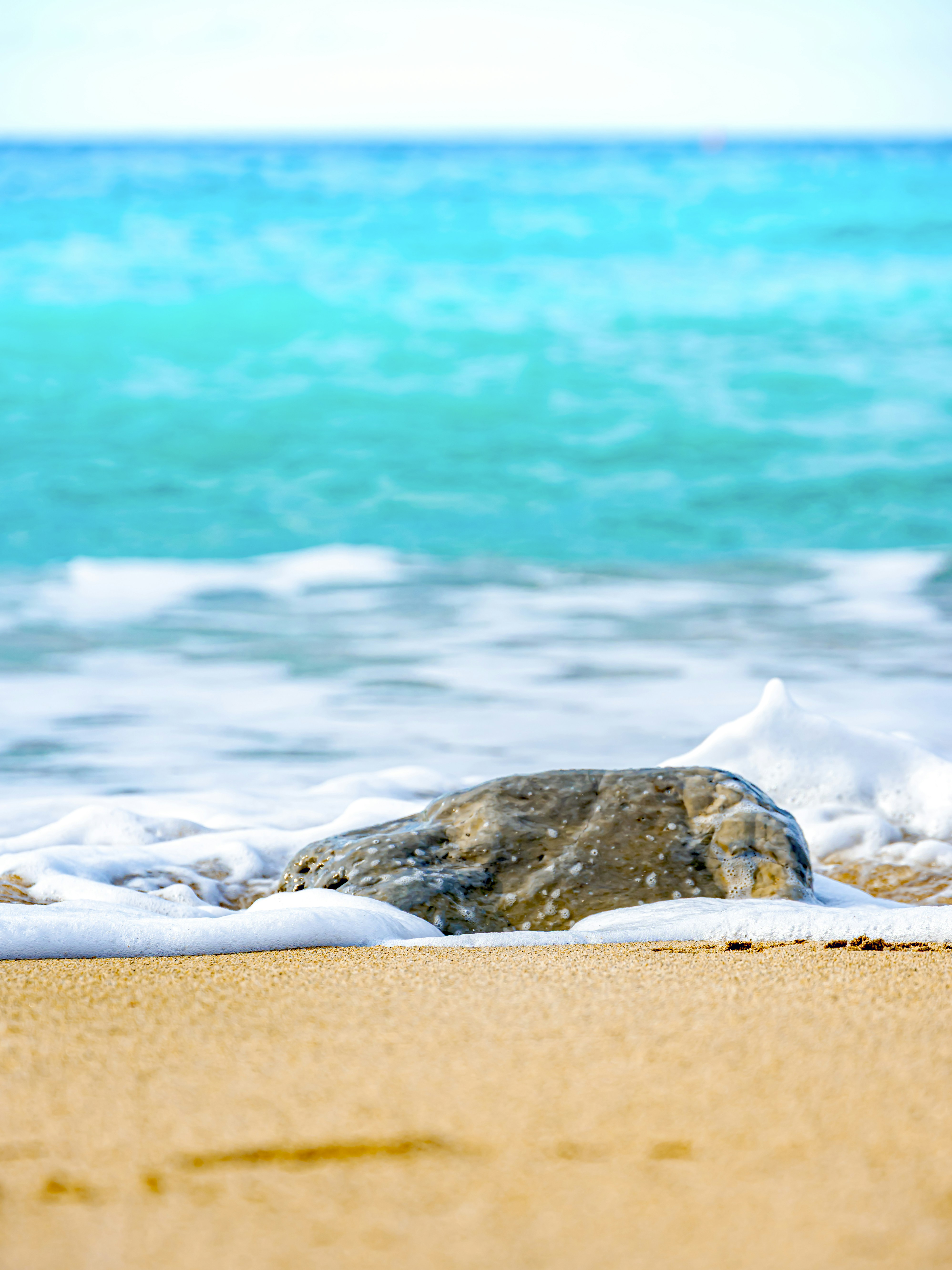 Whispers of the Tide: A Coastal Embrace