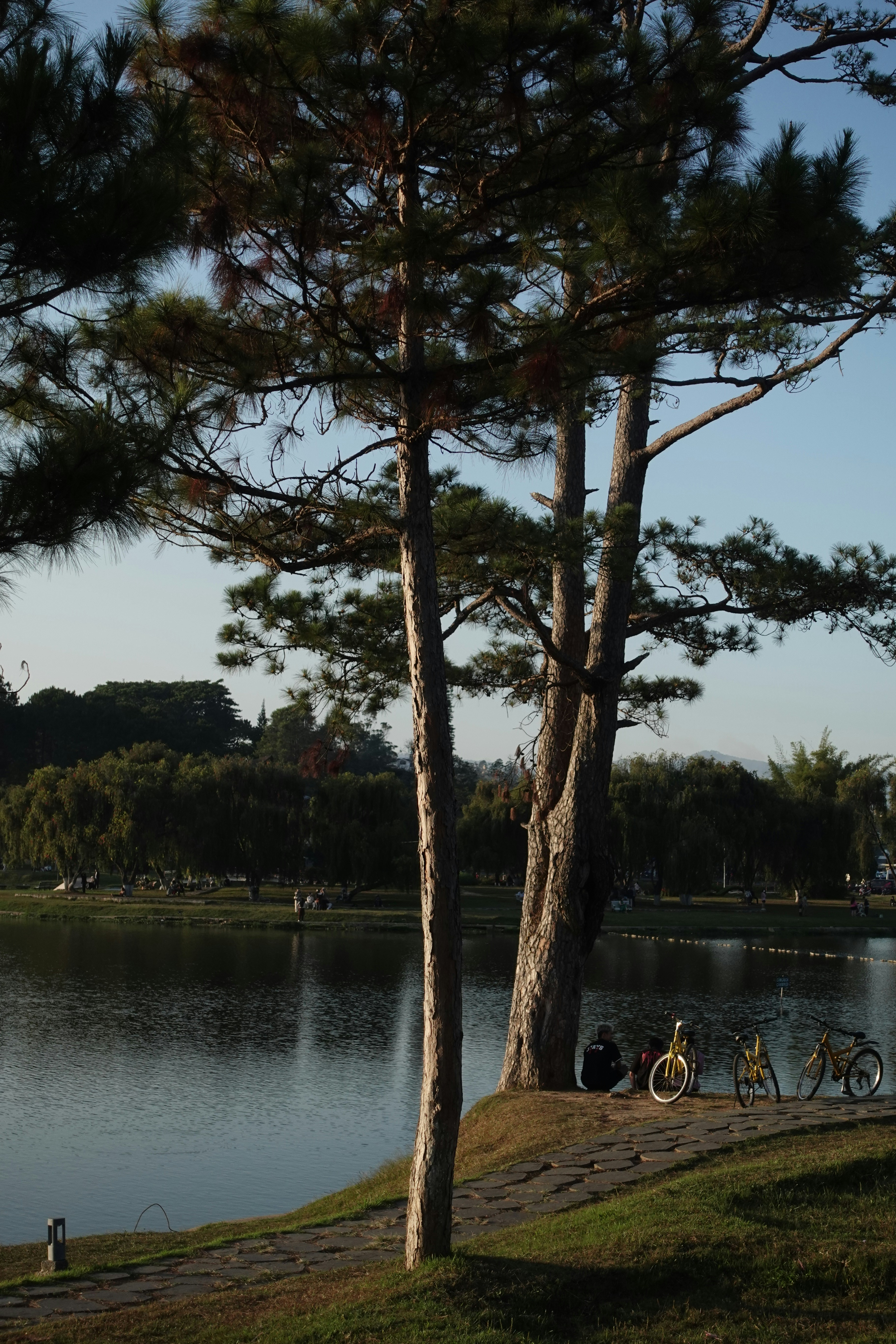Whispers of Tranquility by the Water's Edge