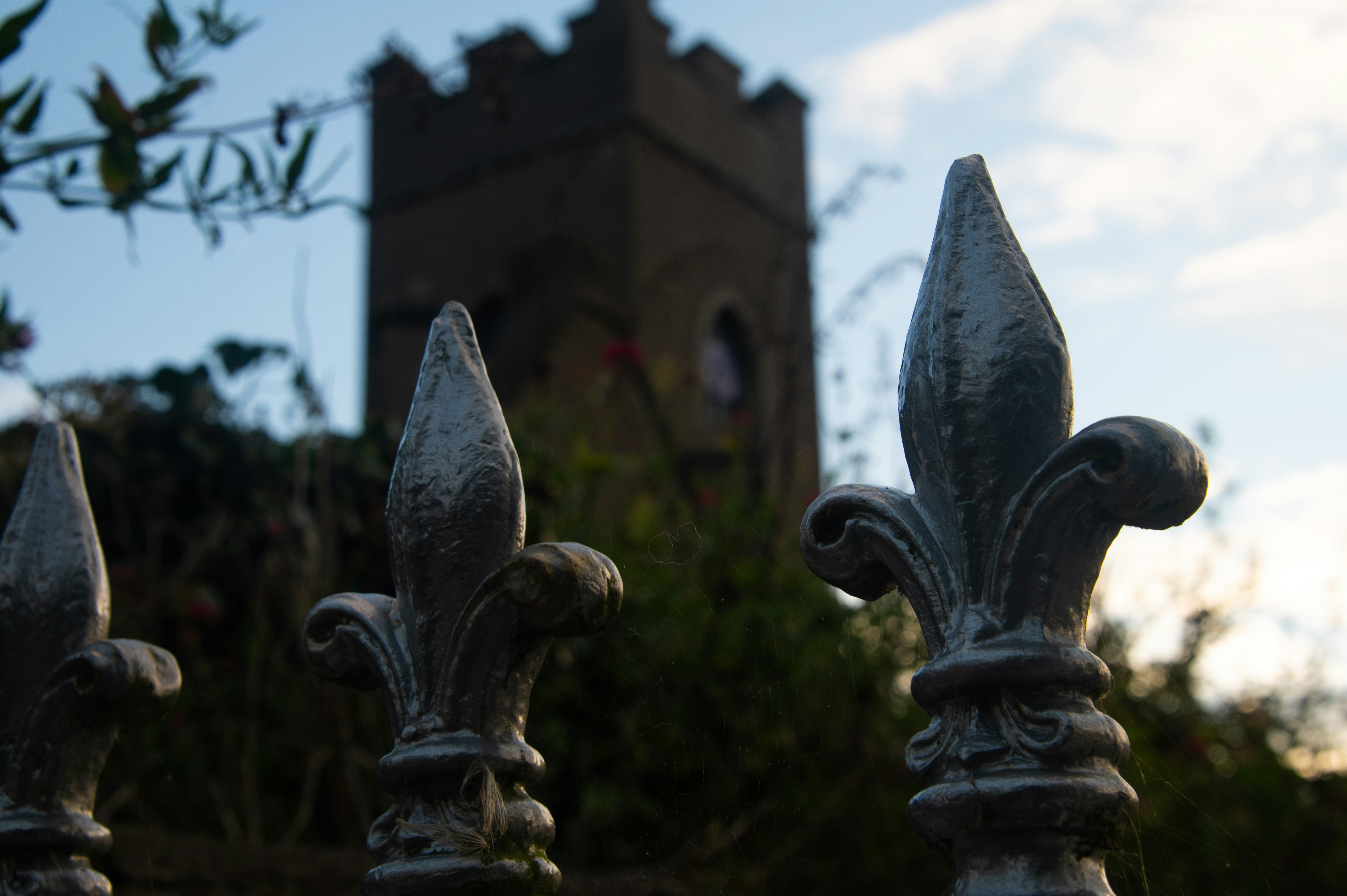 Ornate fence with a castle tower in background