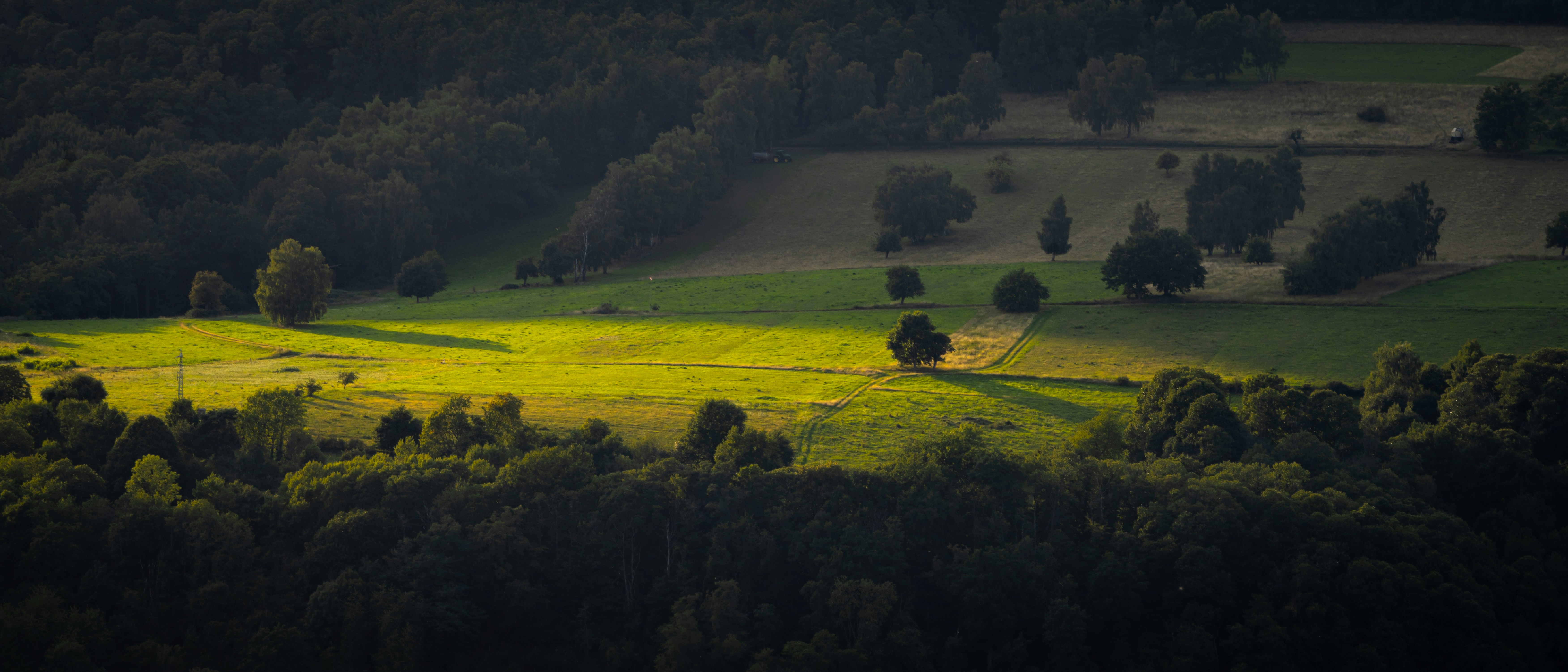 Sunlit patch of meadow surrounded by dense forest, highlighting the contrast between light and shadow in a serene landscape.