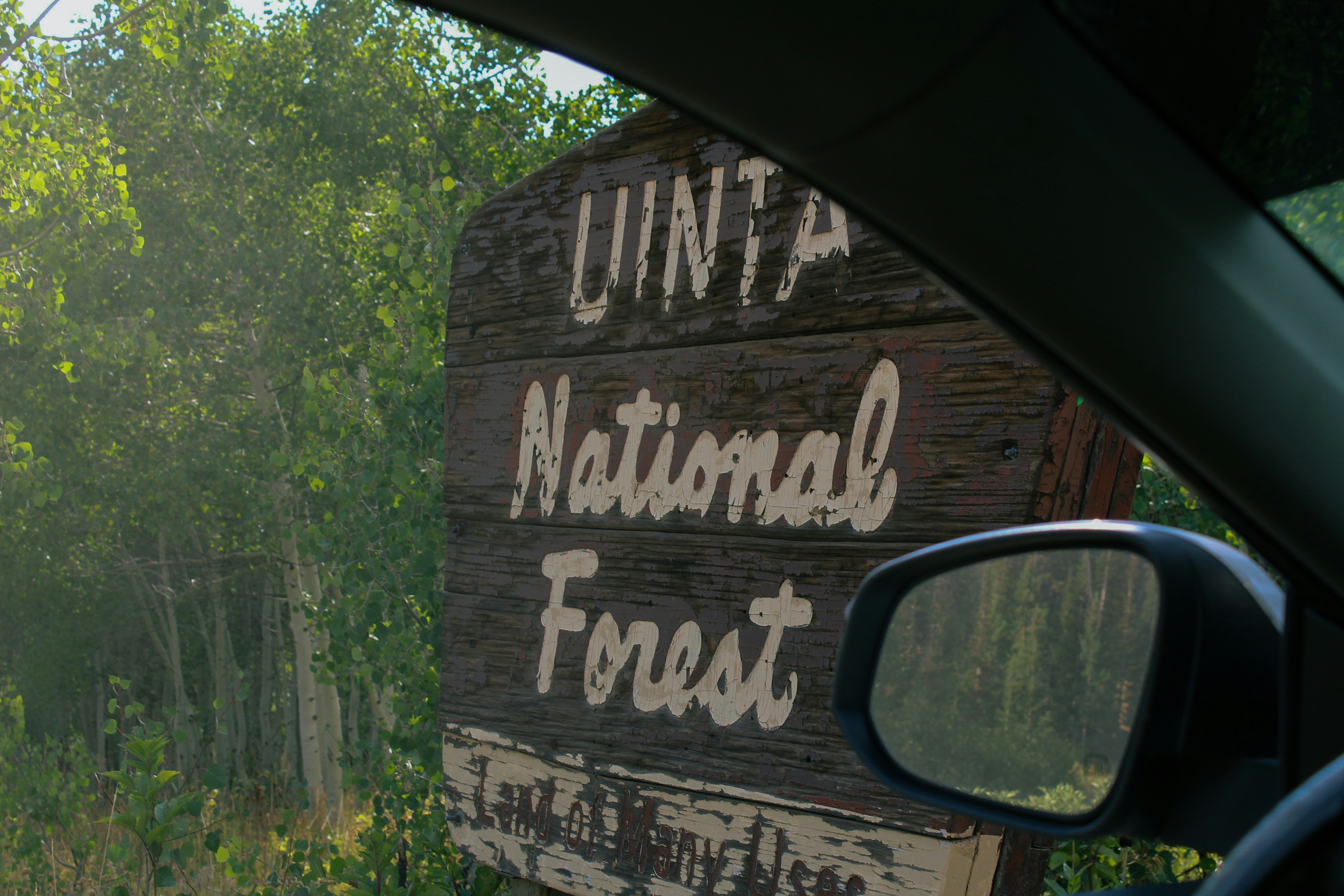 Gateway to Wilderness: The Uinta Experience