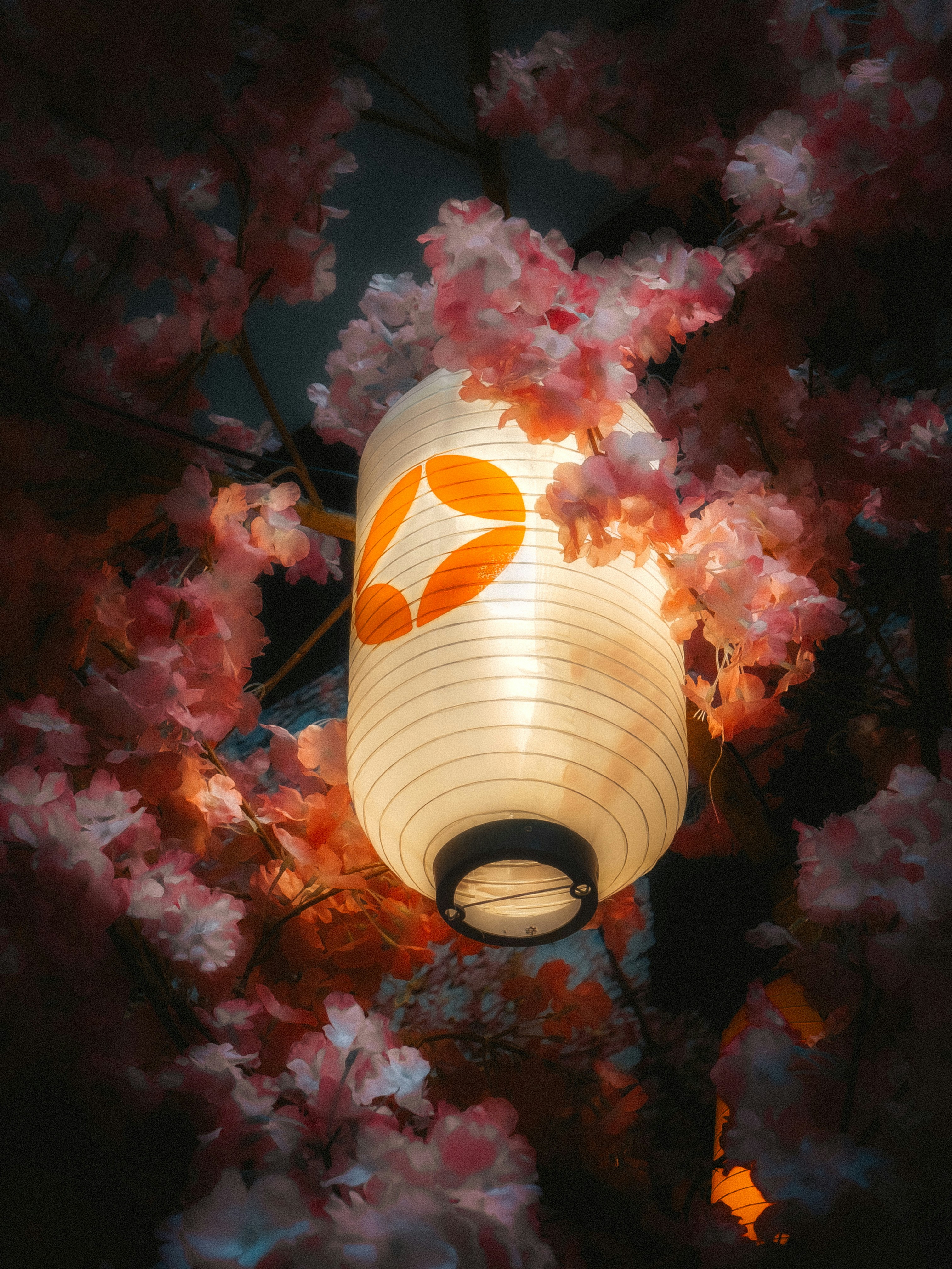 Illuminated Harmony: A Lantern Amidst Blossoms
