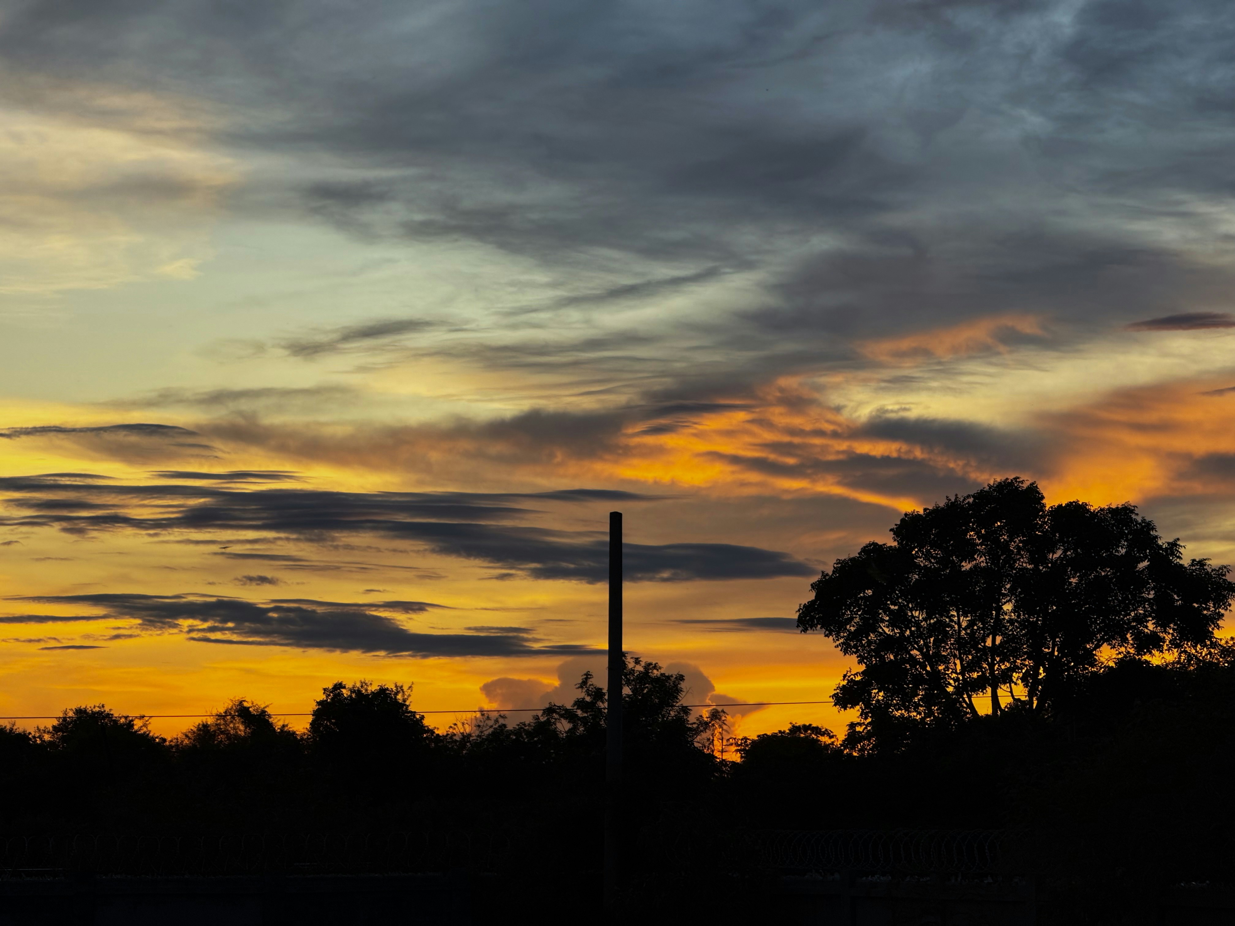 Twilight's Embrace: A Silhouette Against the Fiery Sky