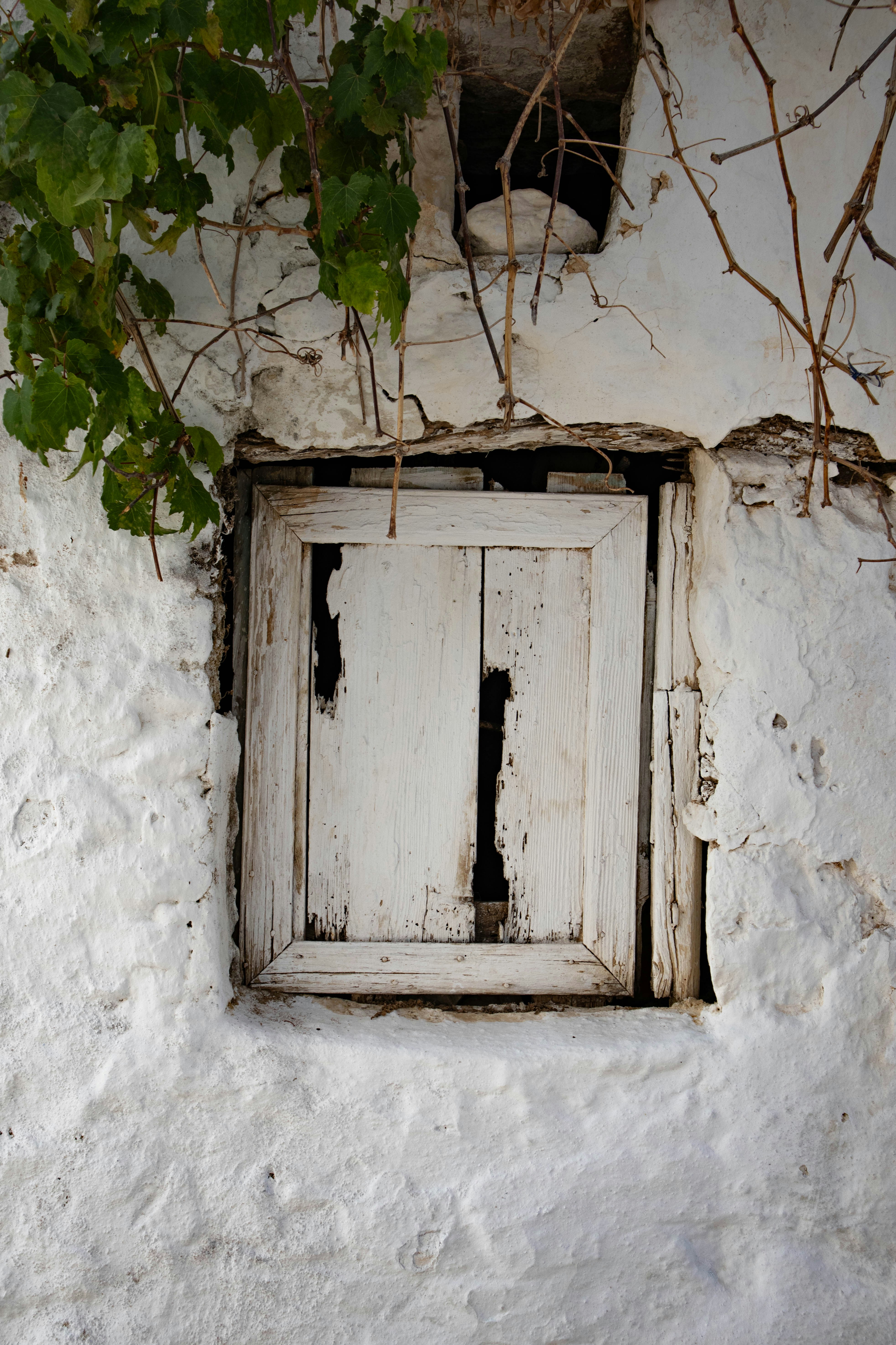 Whispers of Time: The Forgotten Window
