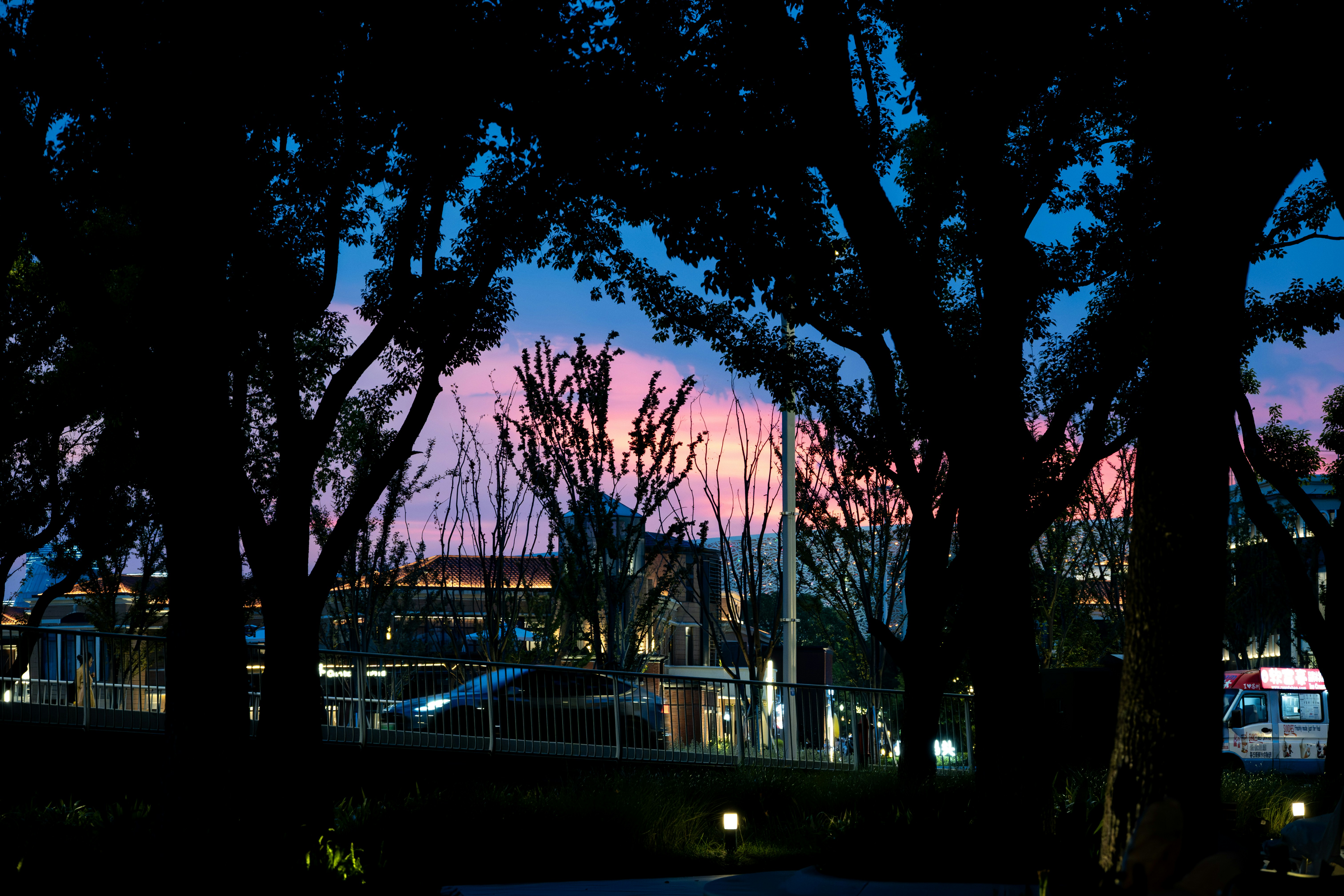 Silhouetted trees frame a vibrant twilight sky, where soft pink hues meet the deepening blue. Urban elements peek through the foliage, hinting at evening activity.