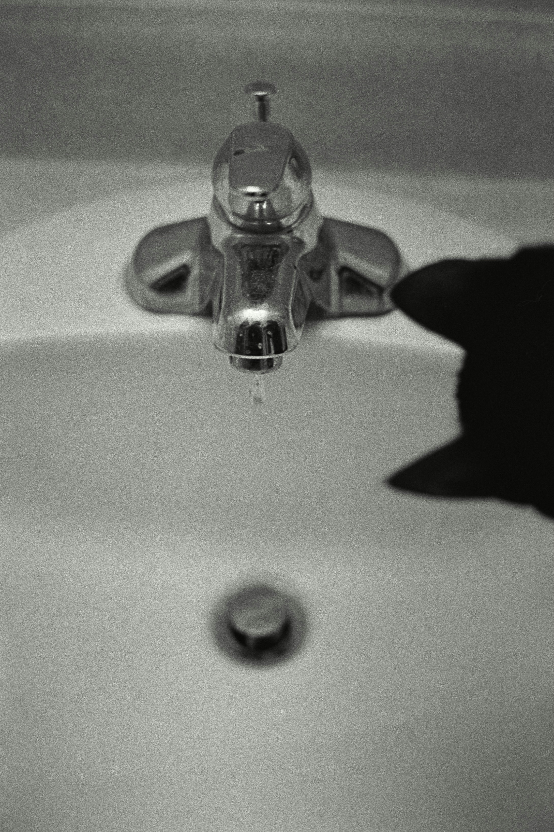 Whiskers and Water: A Moment of Curiosity