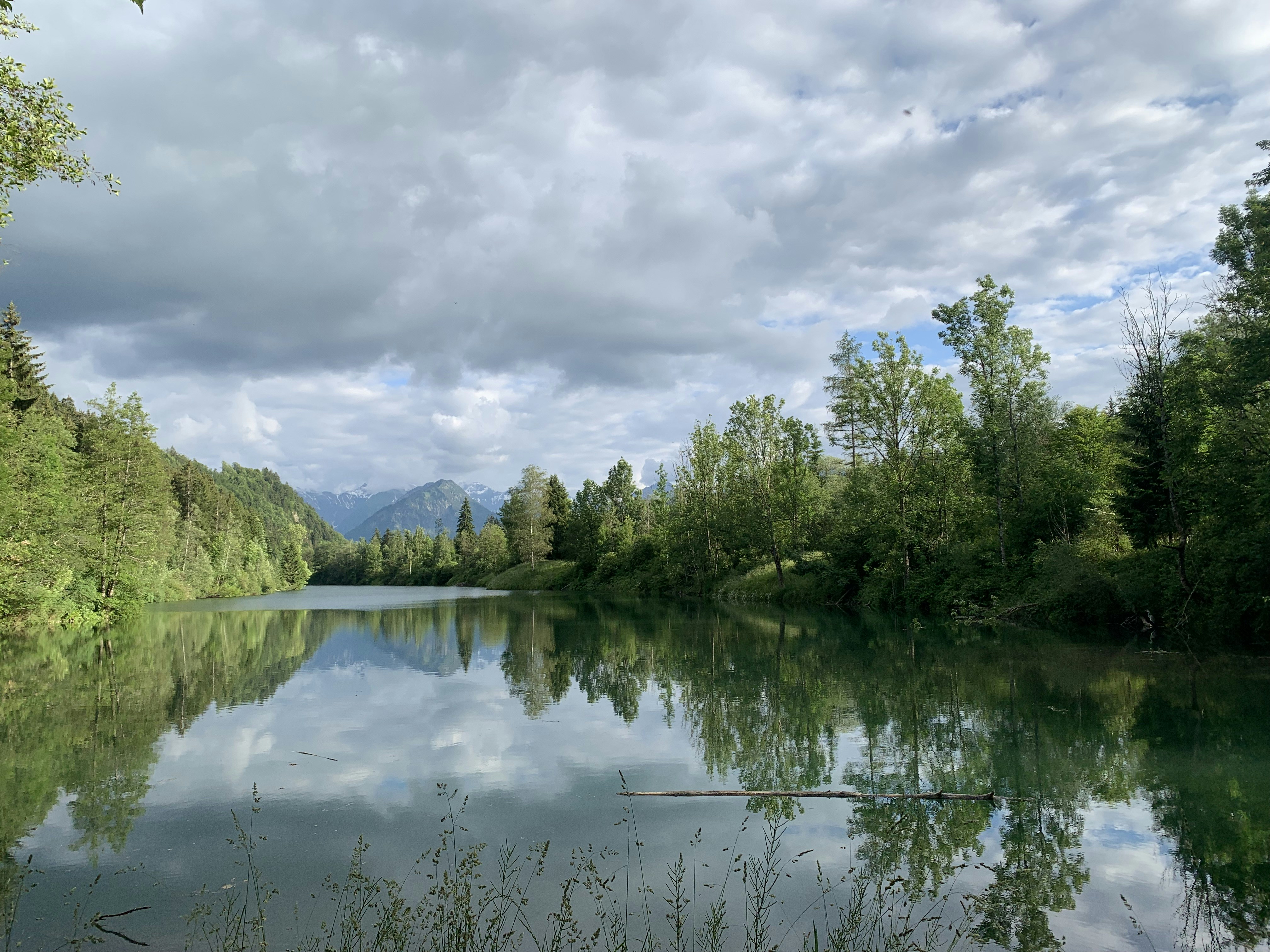 Calm lake reflecting trees and cloudy sky