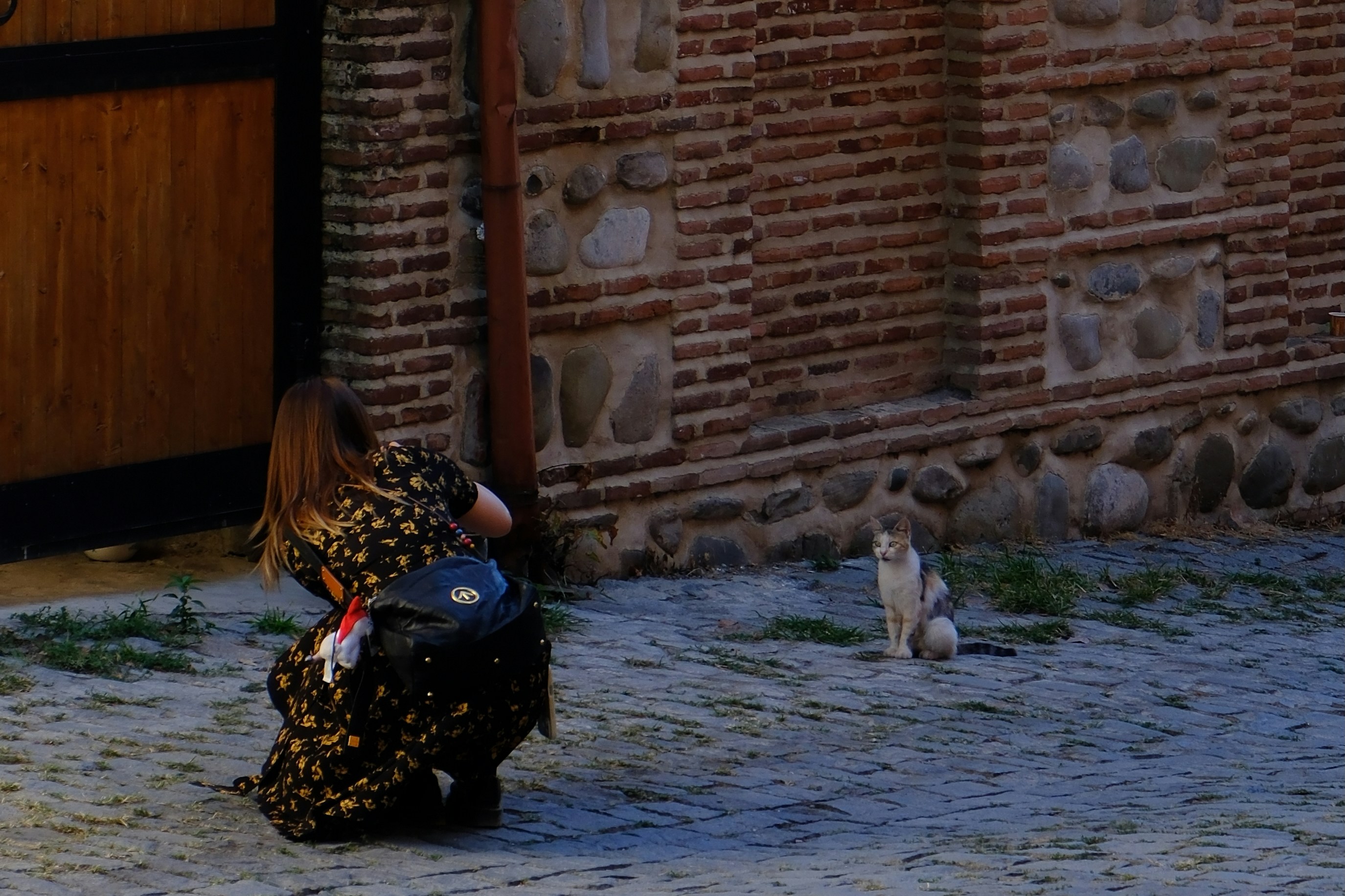 A Serene Encounter in the Cobblestone Alley