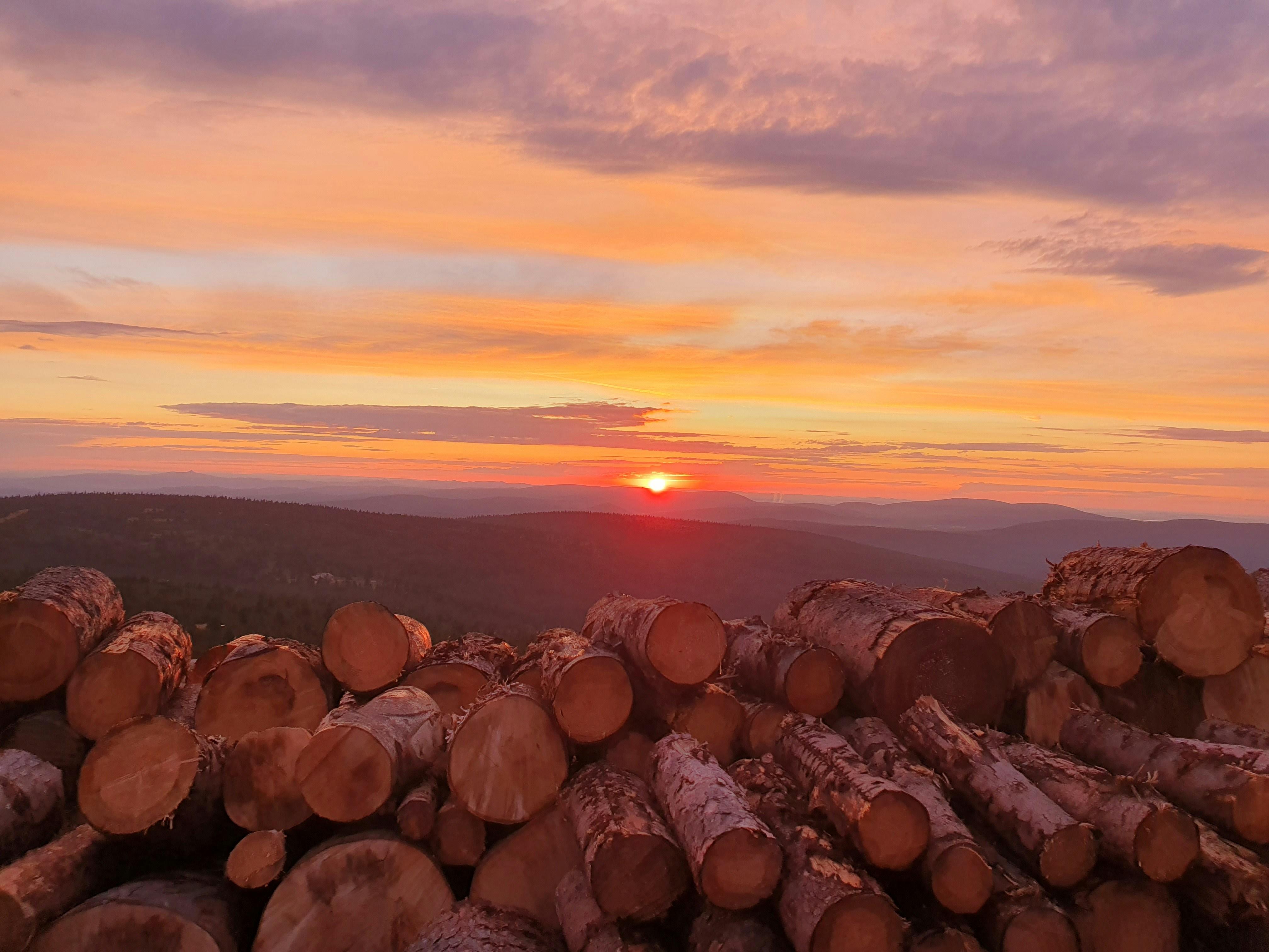 Embers on the Horizon: Golden Hour Over Timber Piles